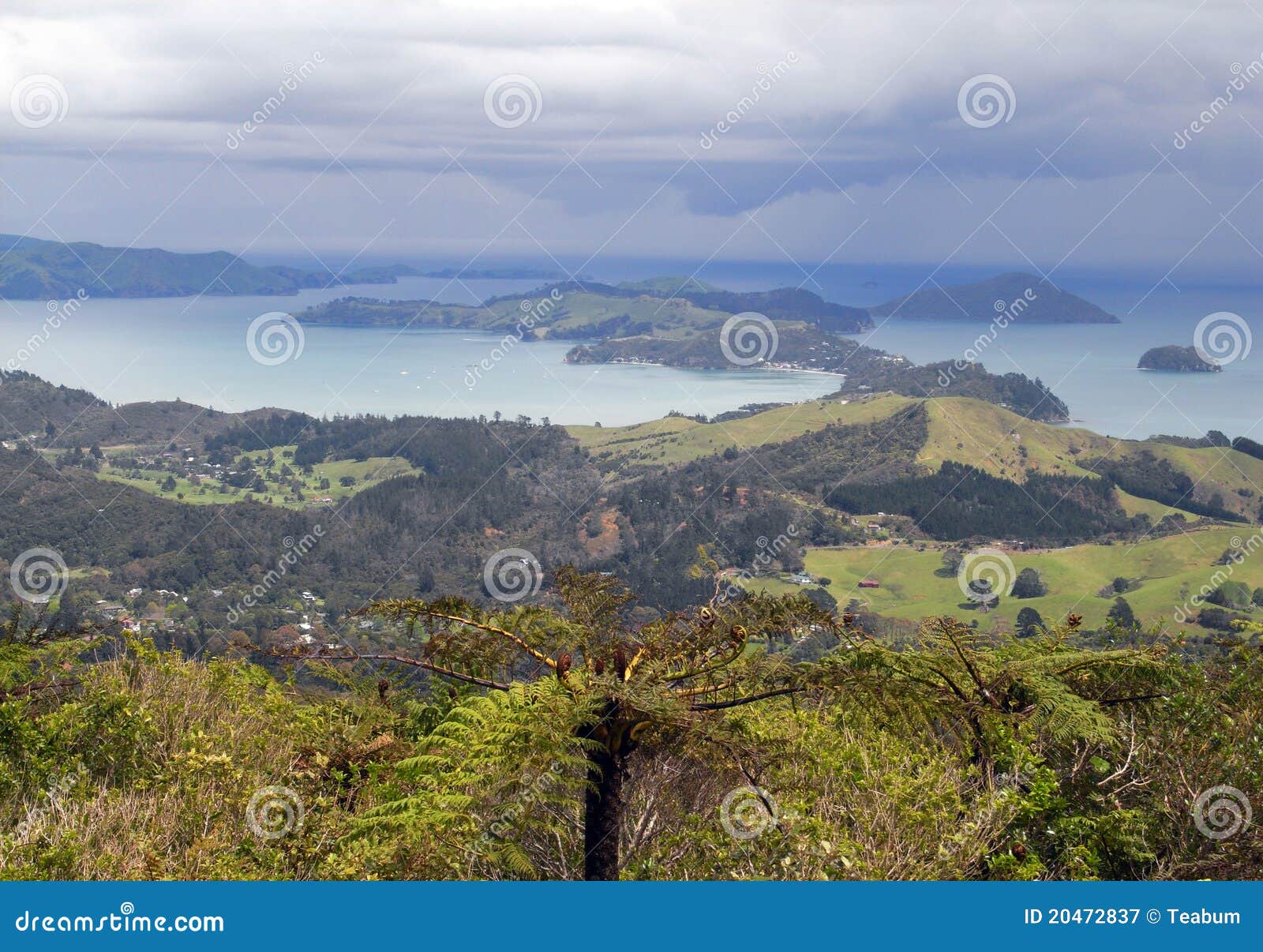 Bay of Islands, Russell Town - New Zealand Stock Image - Image of tree ...