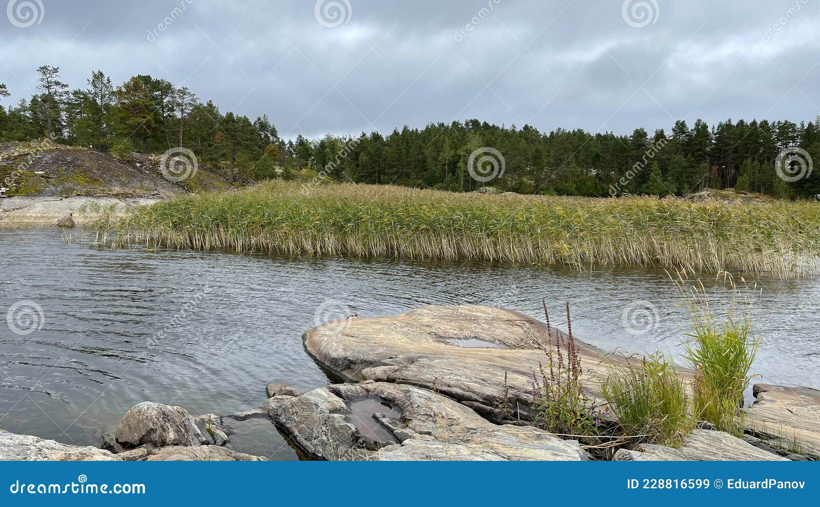 Islands with Forest and Rocks Stock Image - Image of grass, russia ...