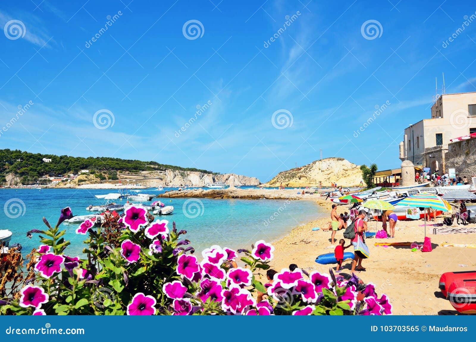 Islas de Tremiti, Italia imagen editorial. Imagen de vacaciones - 103703565