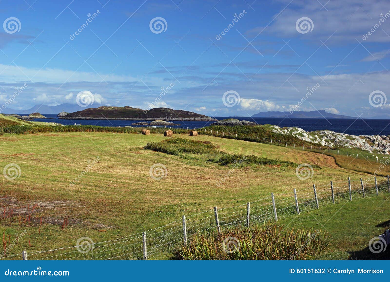 Isle of Coll, Scotland stock photo. Image of heather - 60151632