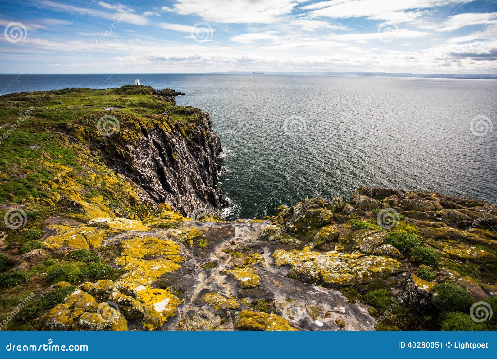 Isle of May stock image. Image of nature, conservation - 40280051