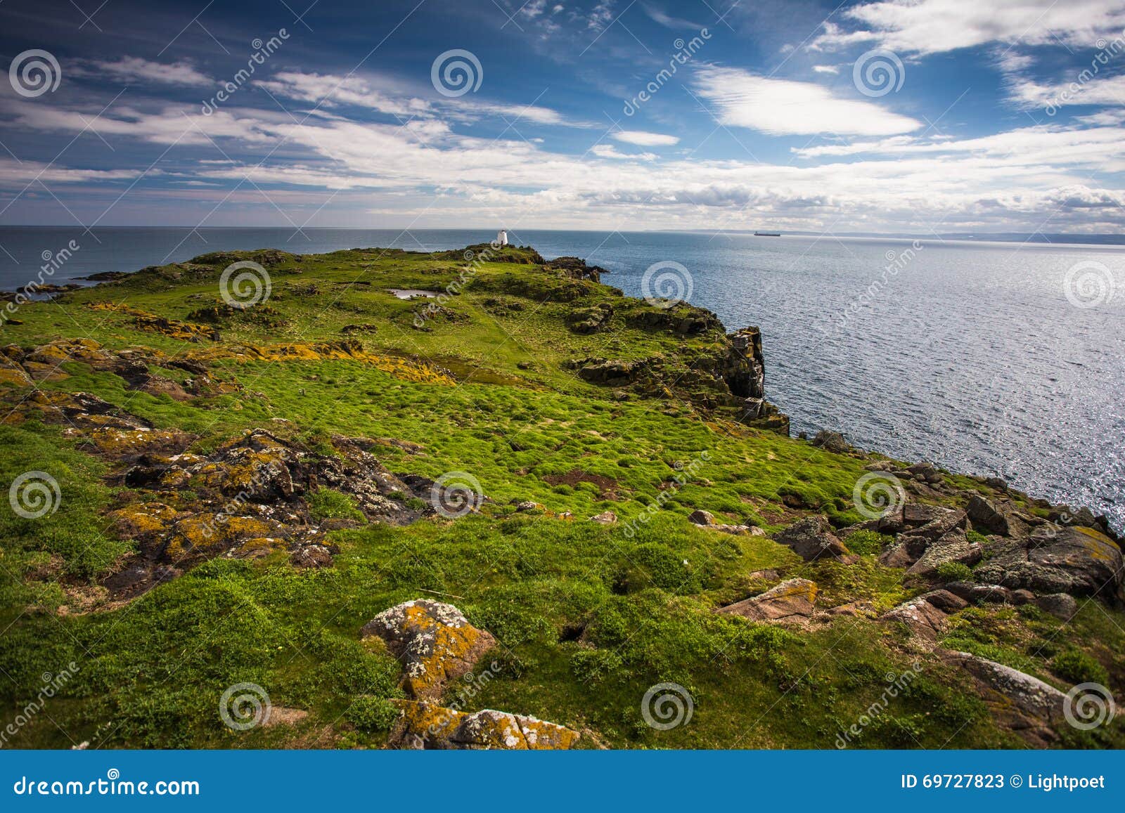 Isle of May, Scotland stock image. Image of nature, fife - 69727823