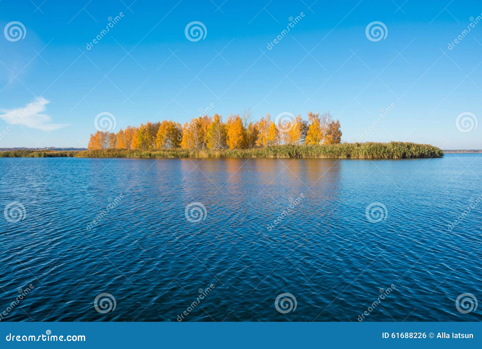 Islet with Autumn Trees in the Middle of the River. Stock Photo - Image ...
