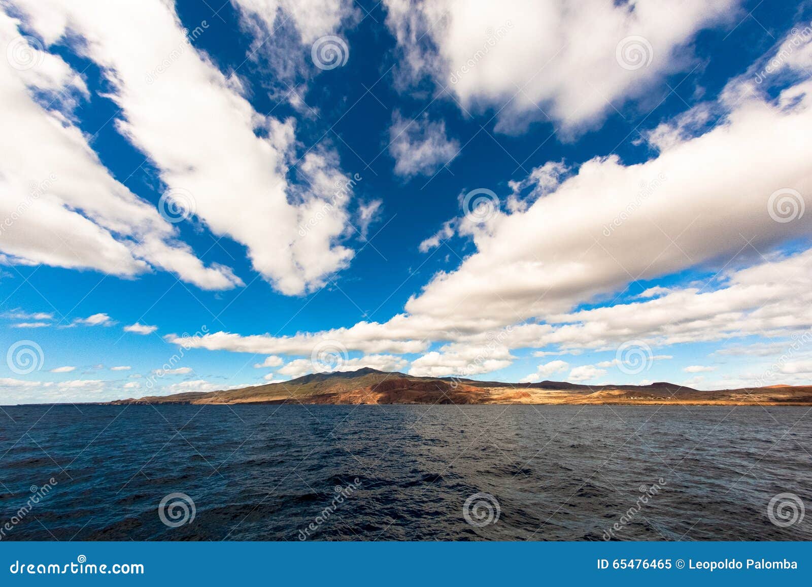 Isola Di Guadalupe, Messico Immagine Stock - Immagine di messico ...