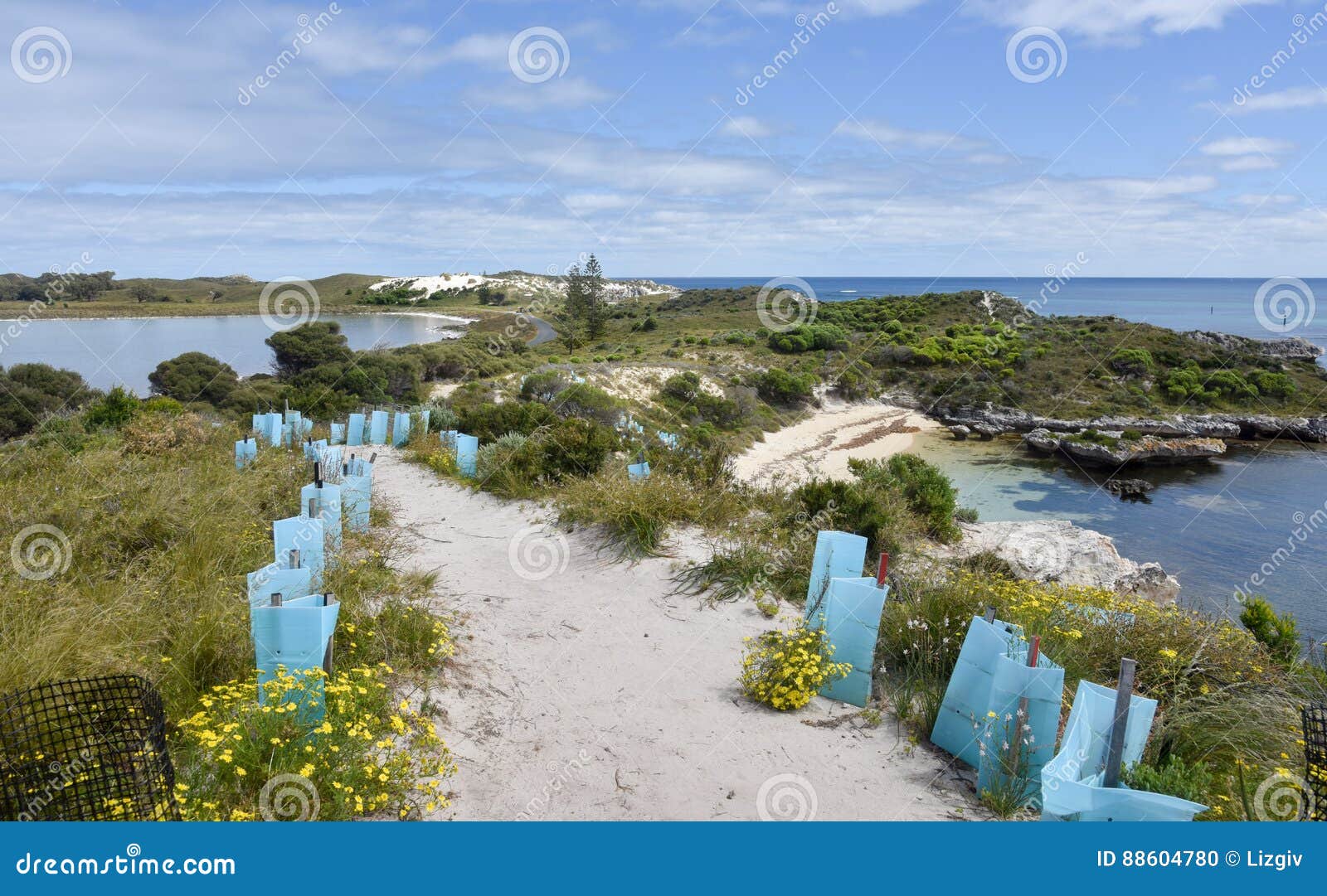 Isola Di Rottnest: Lago E Mare Fotografia Stock - Immagine di litorale ...