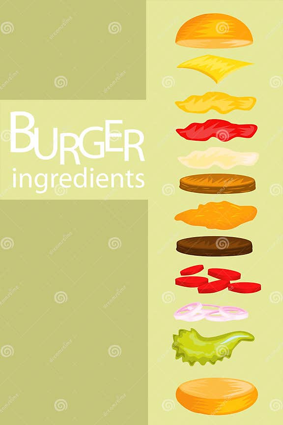Isolate of Burger Ingredients Set Stock Illustration - Illustration of ...
