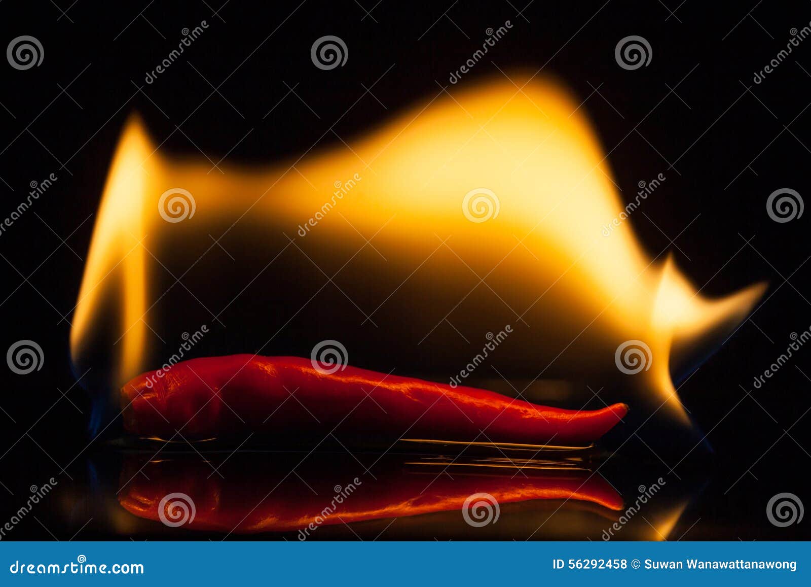 Isolate Fire on Red Chilli on Black Ground Stock Photo - Image of blaze ...