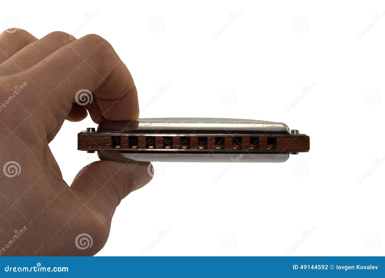 Isolate Harmonica in Musician Hand Stock Photo - Image of harmonica ...