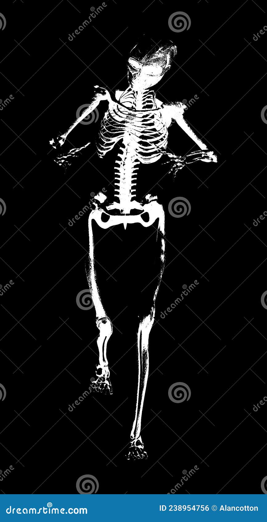 Isolate Skeleton on Black stock vector. Illustration of terrifying ...