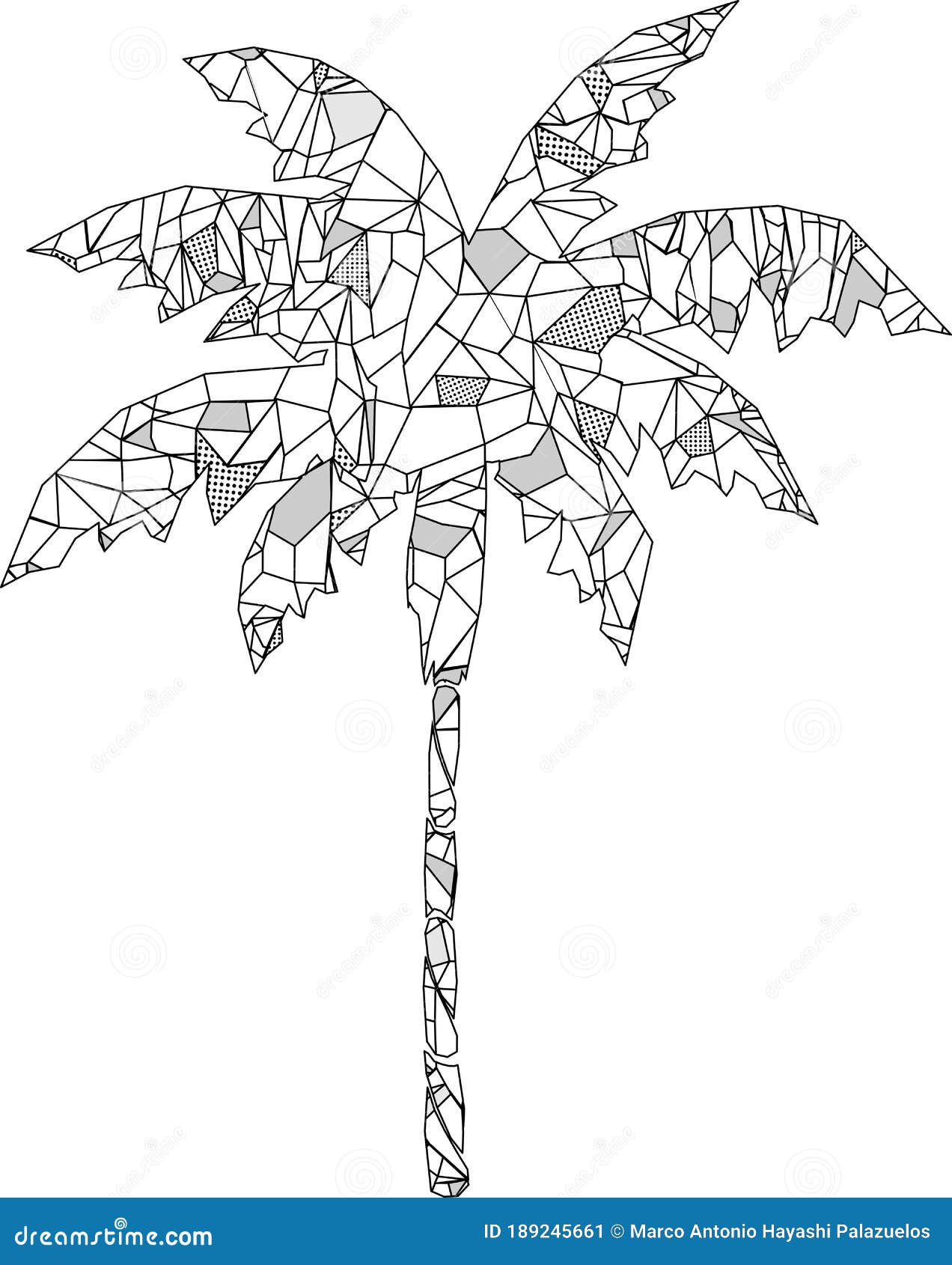 Isolated Abstract Polygon Palm Coloring Mandala Illustration Stock ...