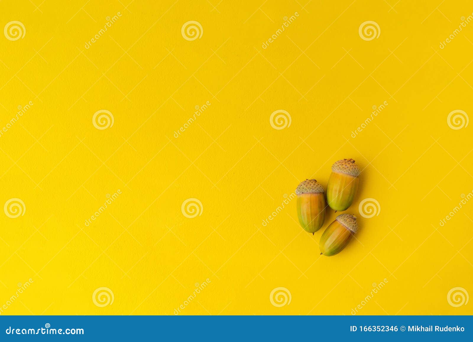 Isolated Acorn Nut From The Oak Tree Top View On Color Background ... Isolated Acorn Nut From The Oak Tree Top View On Color Background ...