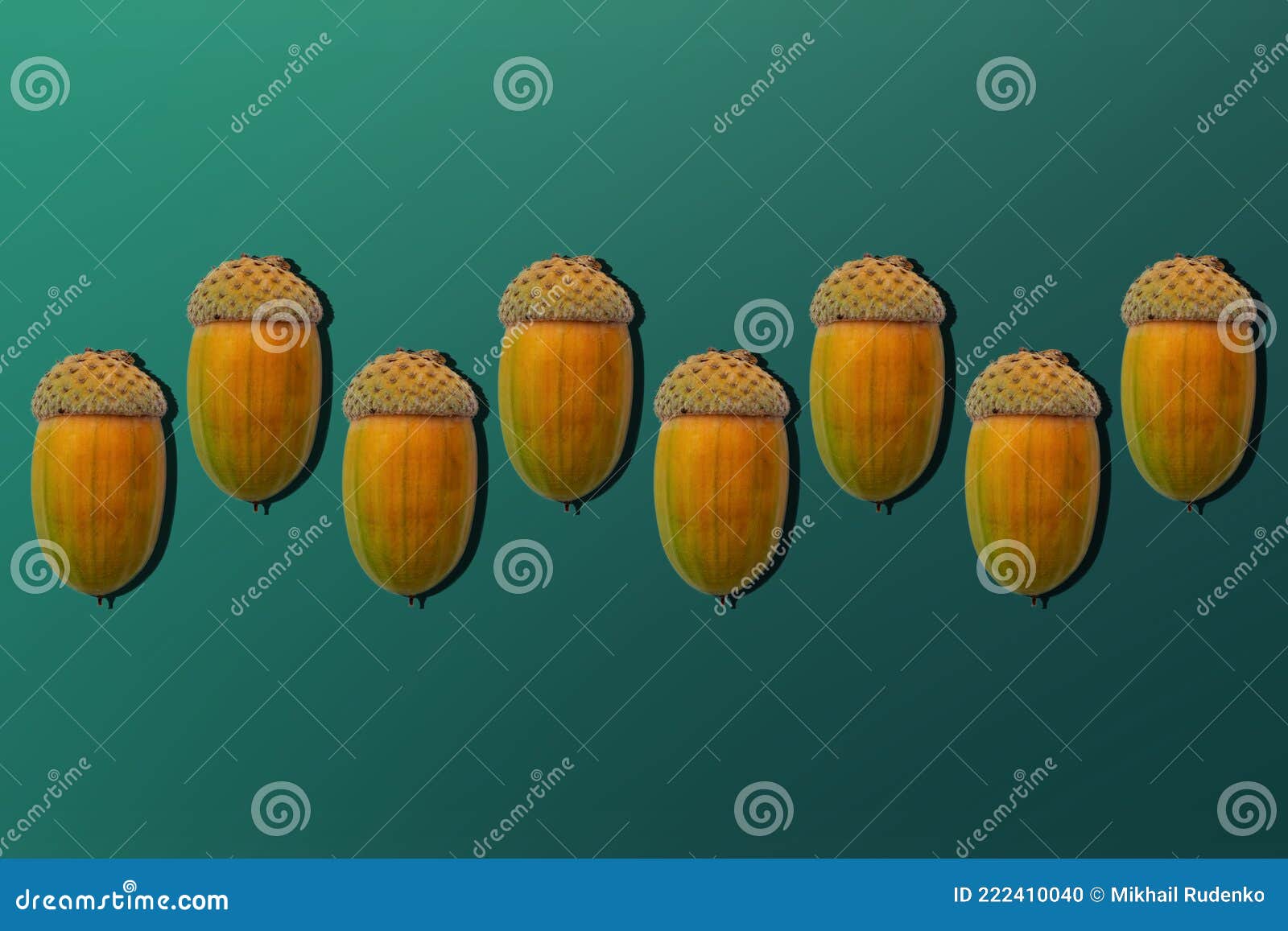 Isolated Acorn Nut from the Oak Tree Top View on Color Background Stock ...