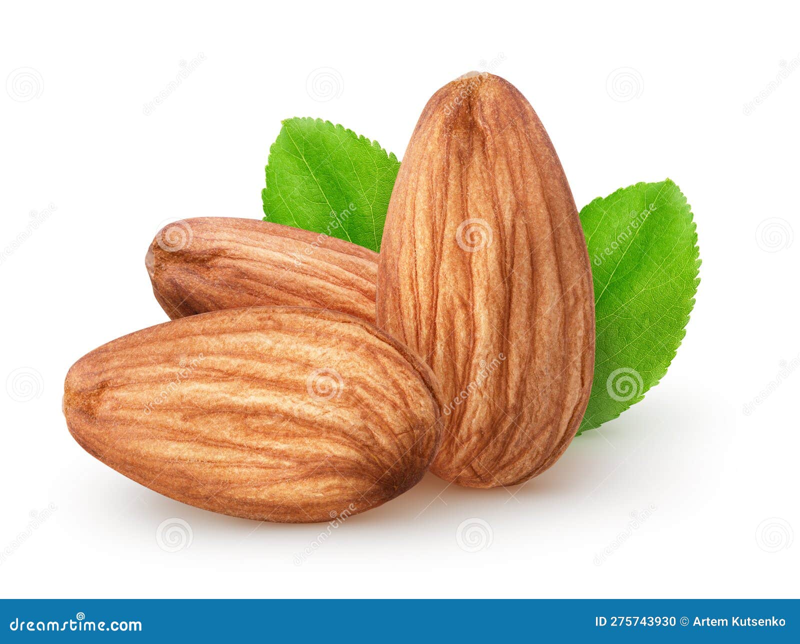 Isolated Almonds. Closeup of Three Almonds with Leaves Isolated on ...