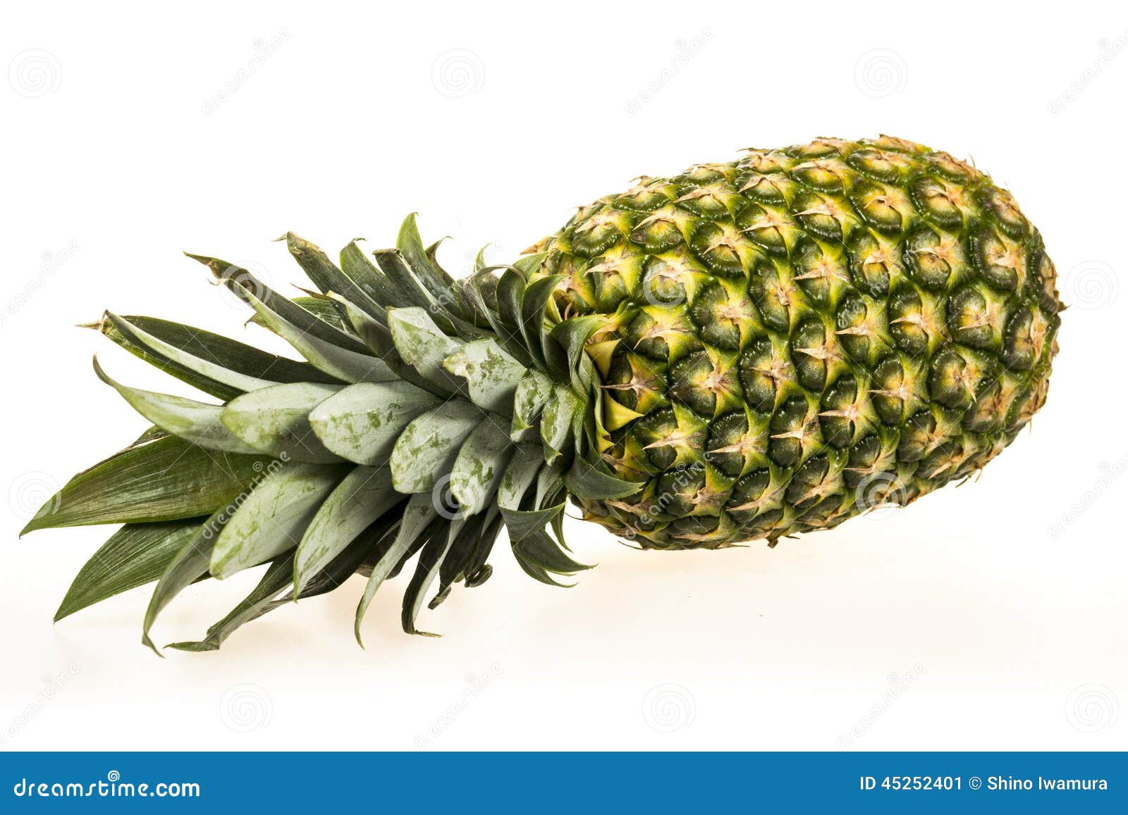 Isolated ananas fruit stock image. Image of ananas, tropical - 45252401