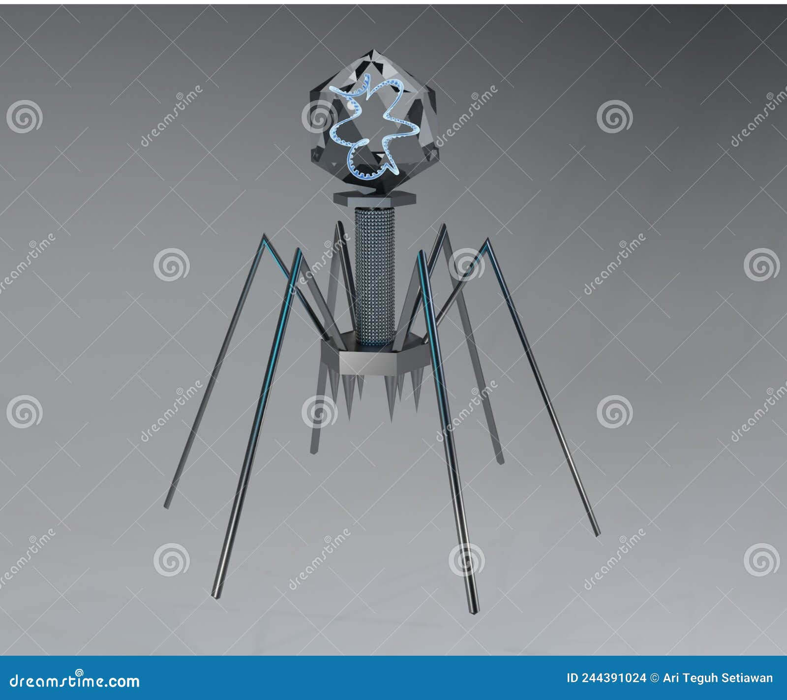 Isolated Anatomy of Bacteriophage Complex Stock Illustration ...
