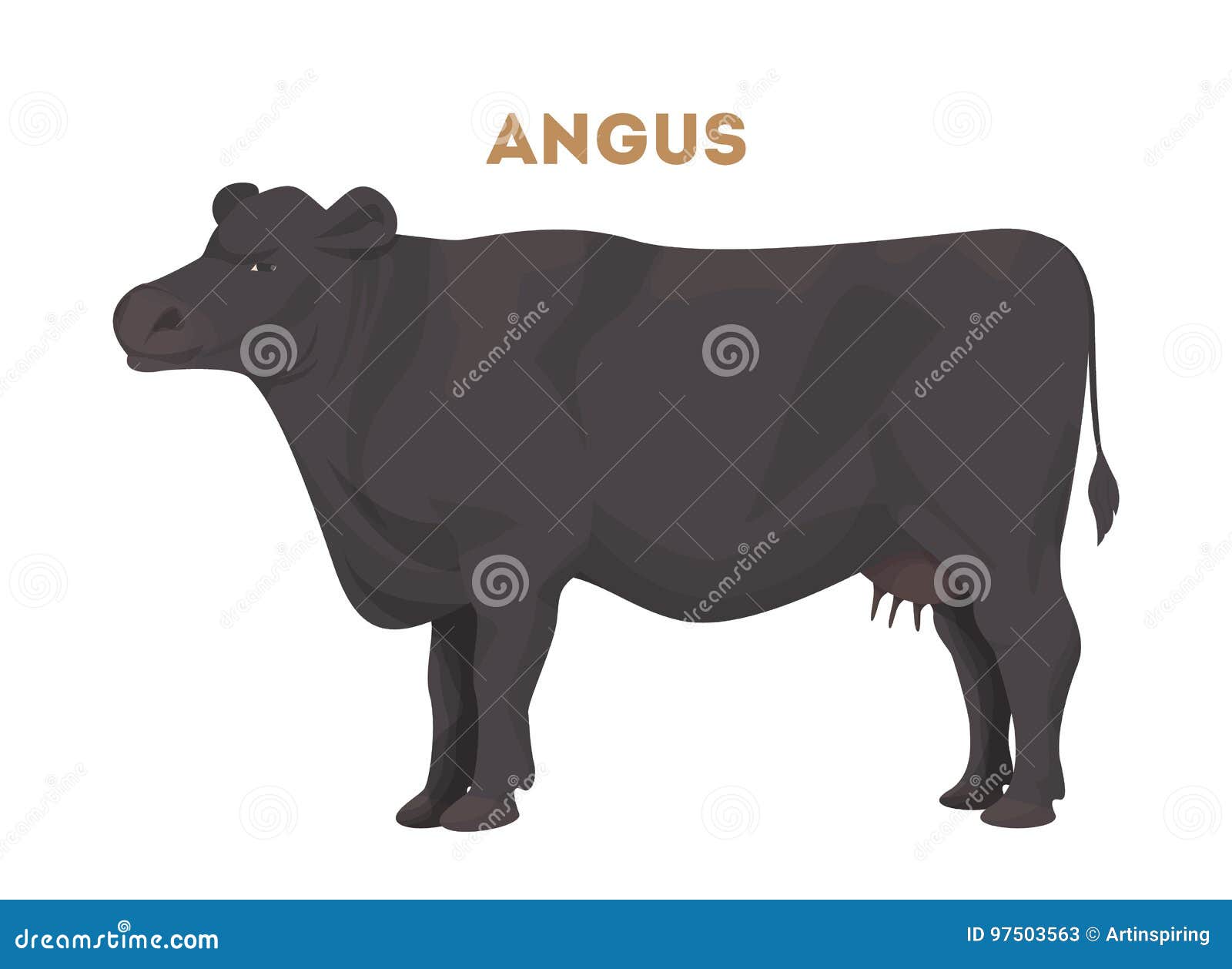 Isolated angus cow. stock vector. Illustration of breeding - 97503563