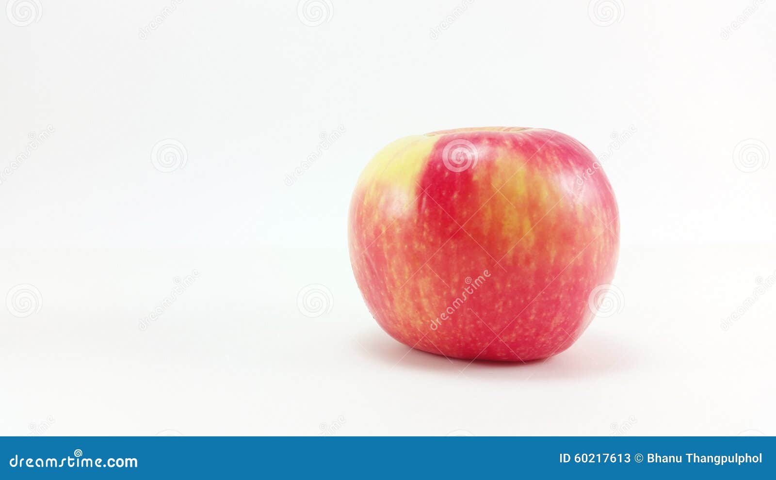Isolated Apple in Front View Stock Image - Image of apple, bright: 60217613