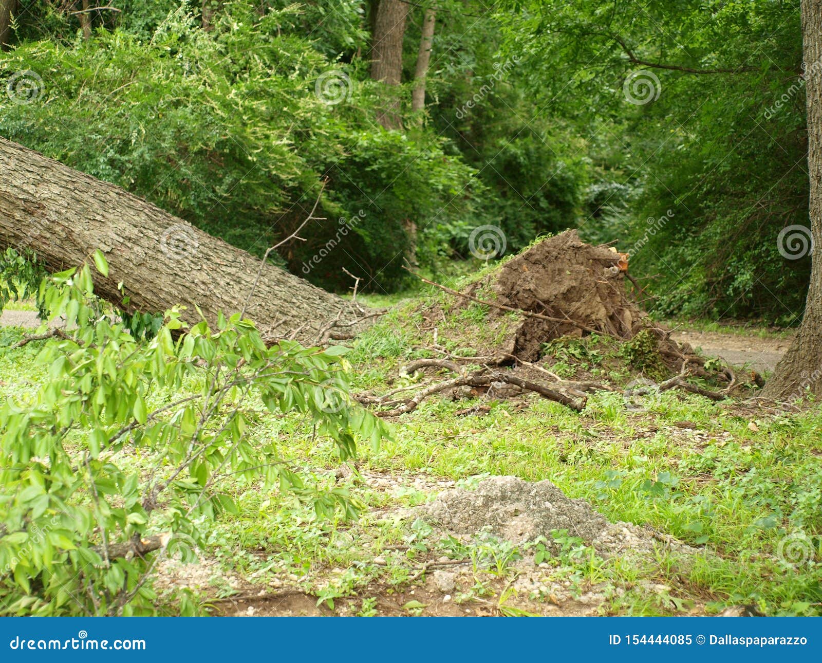 Isolated Areas of Park Will Be Last To Get Cleared Stock Image - Image ...
