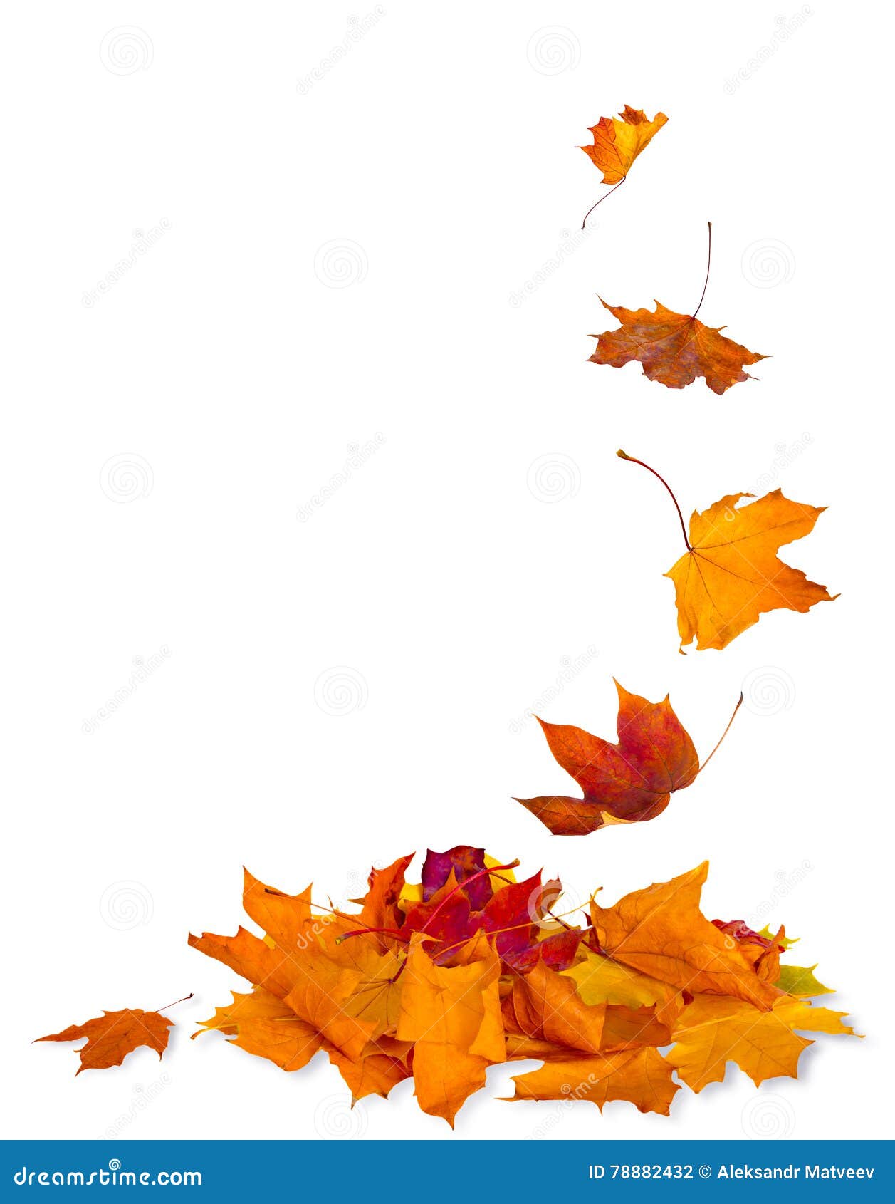 Isolated Autumn Leaves Frame Background Stock Photo - Image of frame ...