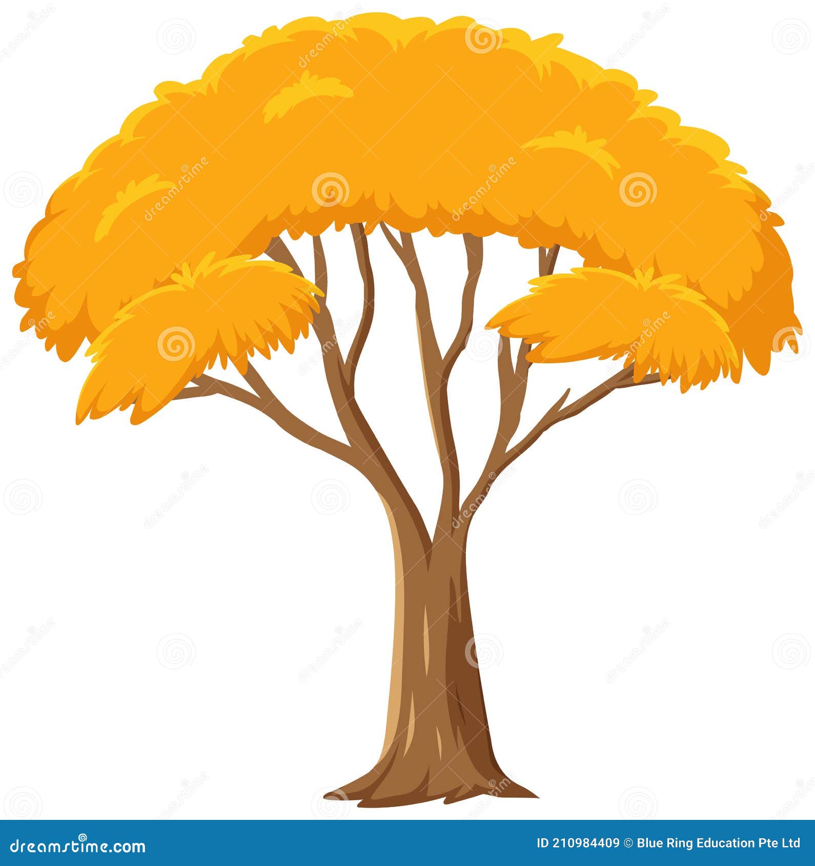 Isolated Autumn Tree on White Background Stock Vector - Illustration of ...