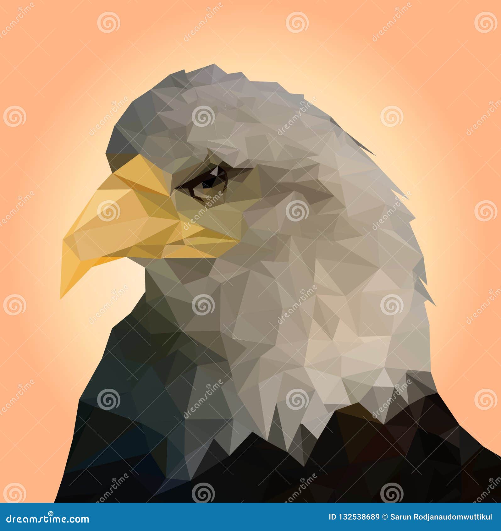 Isolated Bald Eagle On White Background,Low Poly Head Of Falcon,Vector ...
