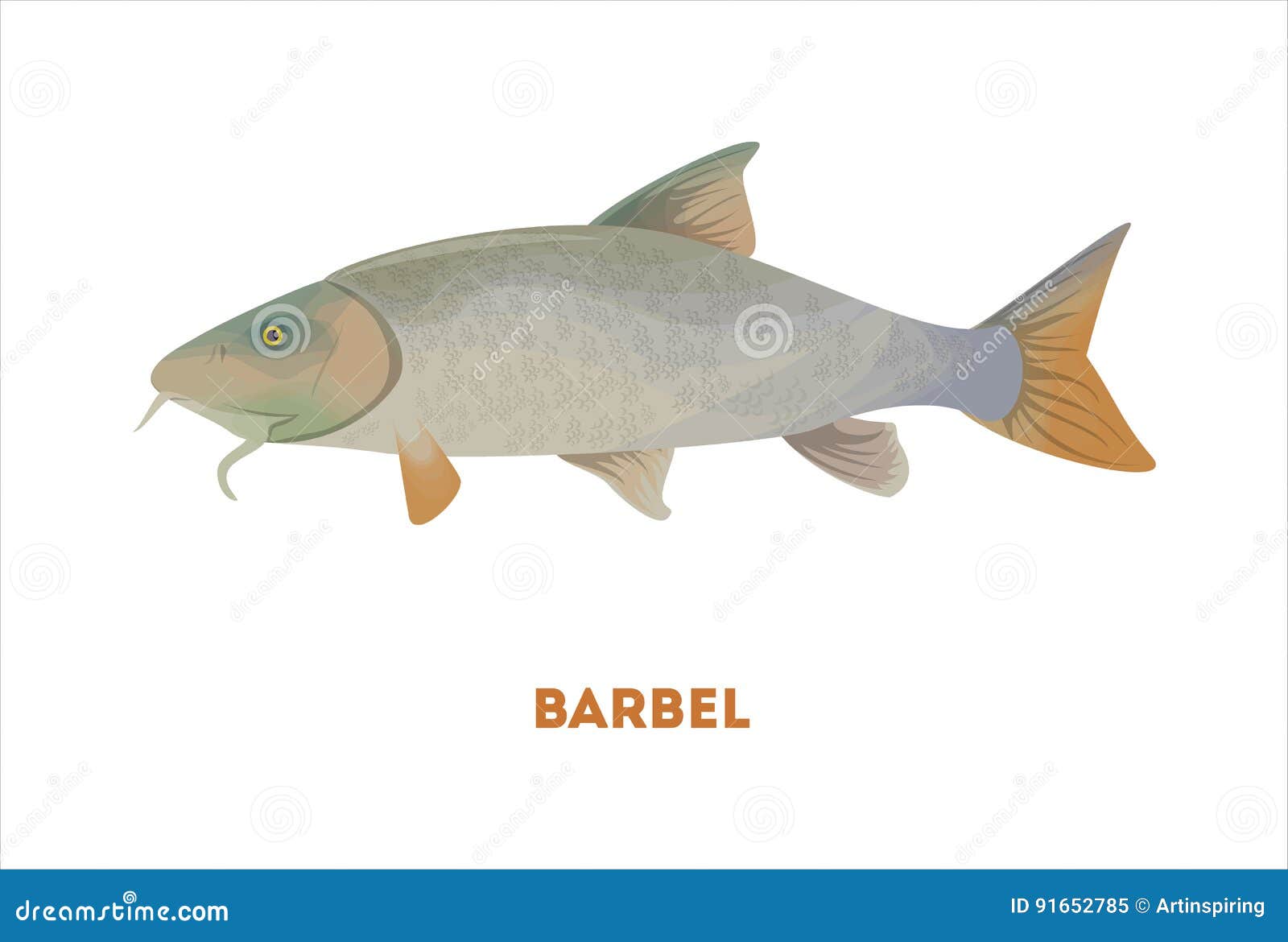 Lingcod Cartoons, Illustrations & Vector Stock Images - 14 Pictures to ...