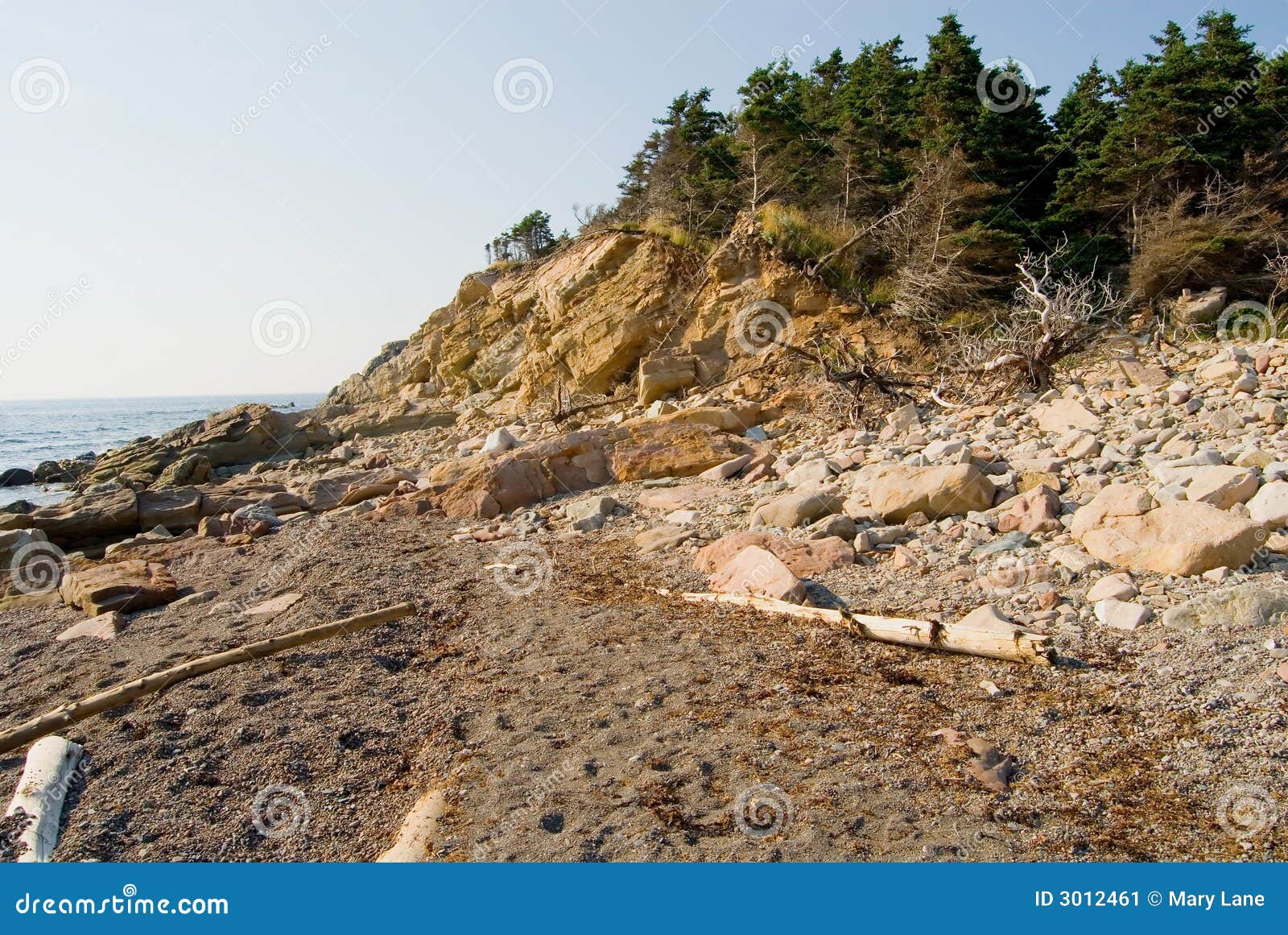 Isolated Beach stock image. Image of nature, desolate - 3012461