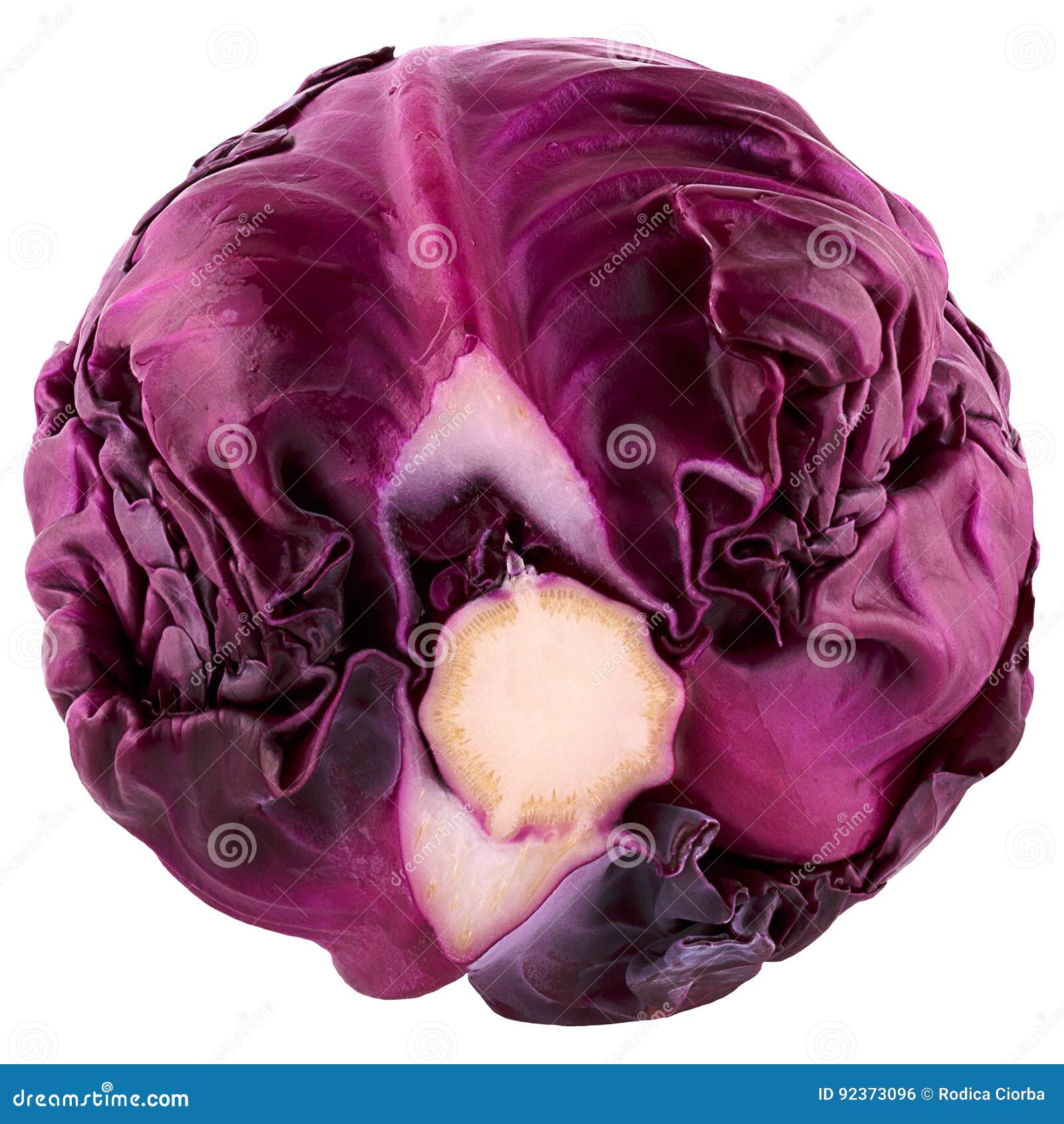 Isolated Beautiful Red Savoy Cabbage.psd Stock Photo - Image of healthy ...