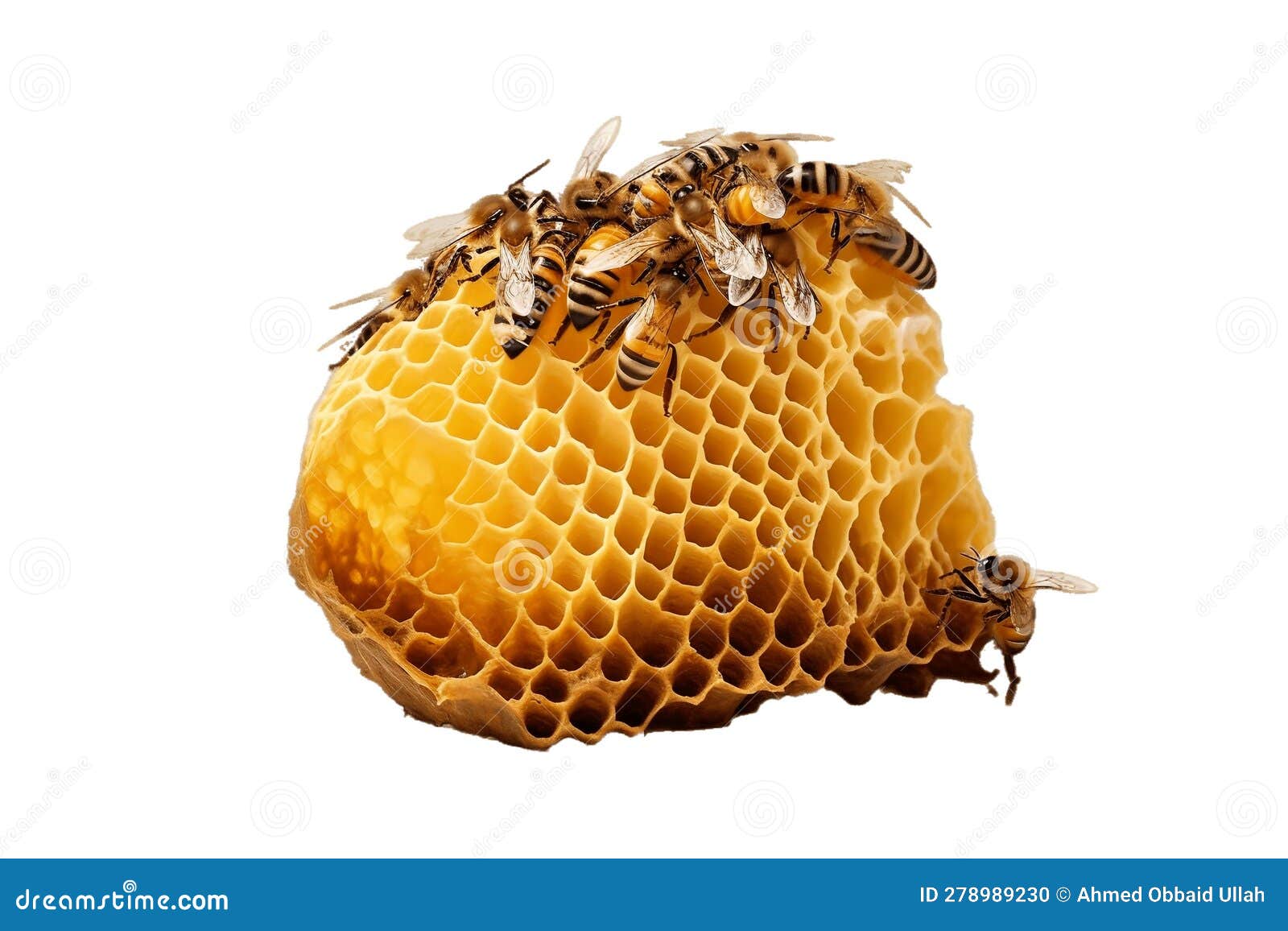 Isolated Beehive on Transparent Background, Generative Ai Stock Photo ...