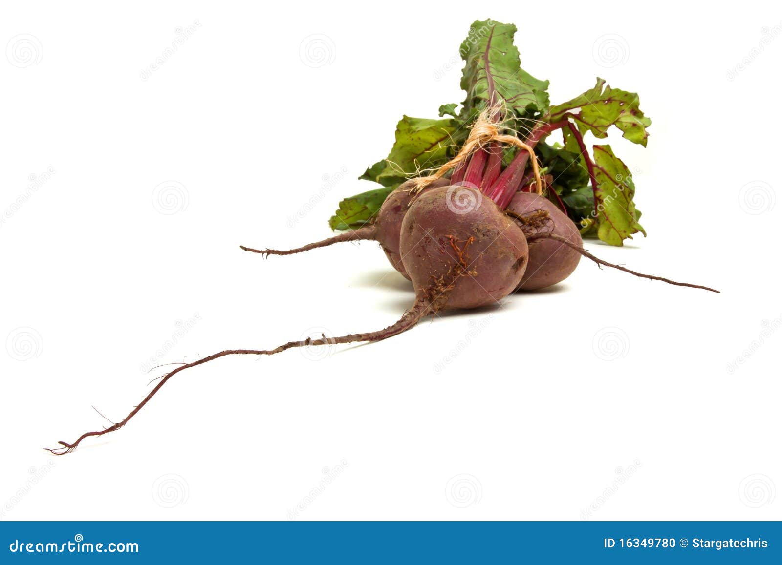 Isolated Beetroot stock photo. Image of leaves, fresh - 16349780