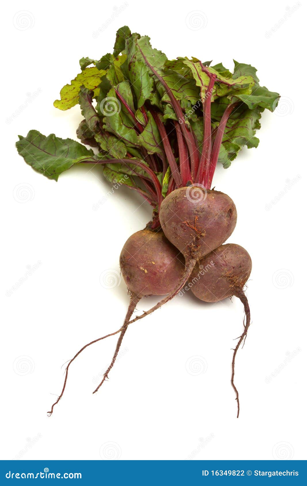 Isolated Beetroot stock photo. Image of beetroot, beet - 16349822
