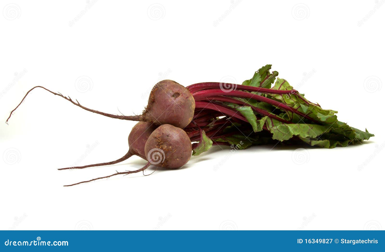Isolated Beetroot stock image. Image of borscht, organic - 16349827
