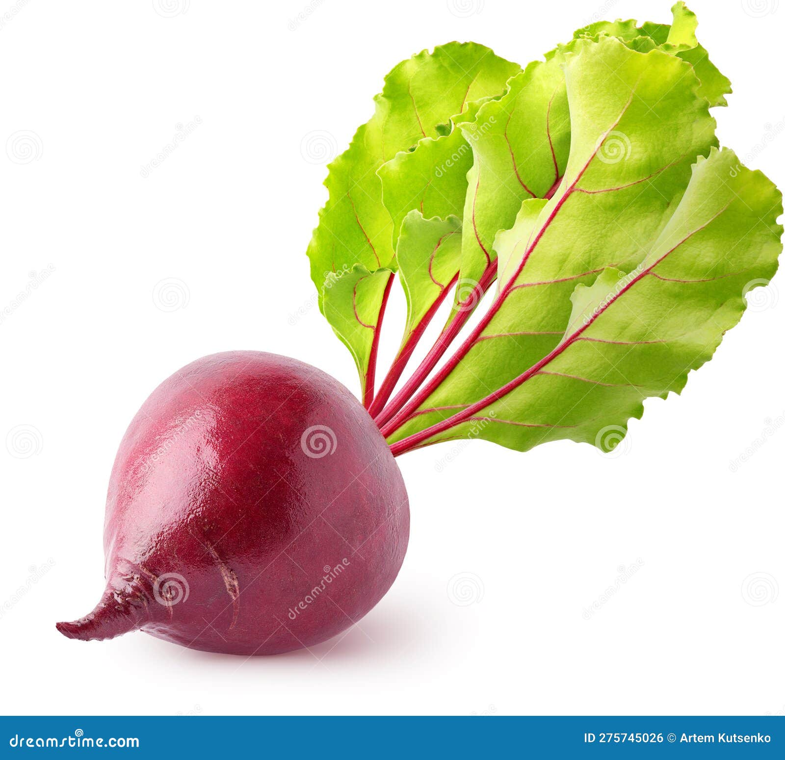 Isolated Beetroot. Whole Single Beetroot with Leaves Isolated on White ...