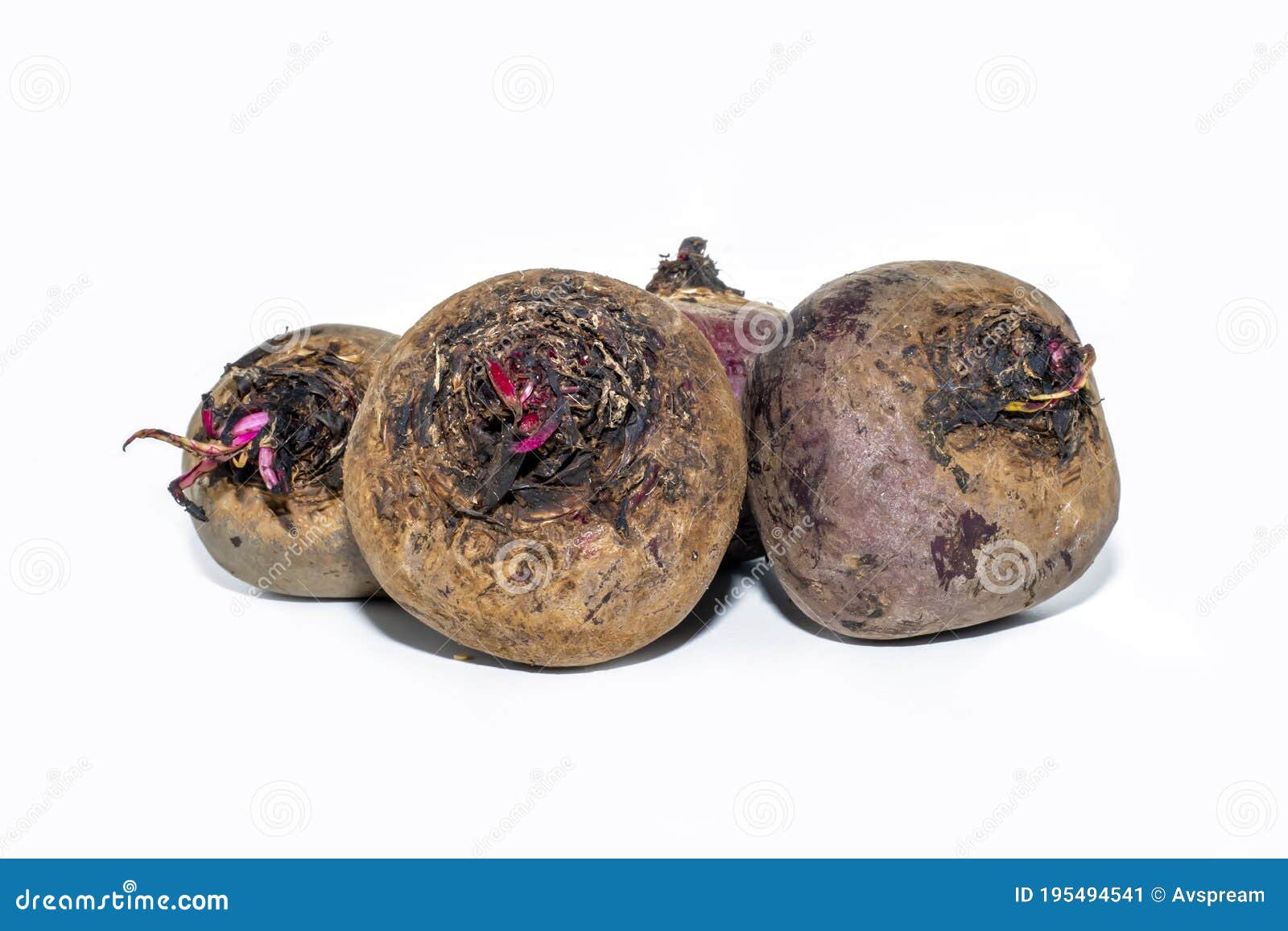 Isolated Beetroot. Whole Beetroot Isolated on White Background Stock ...