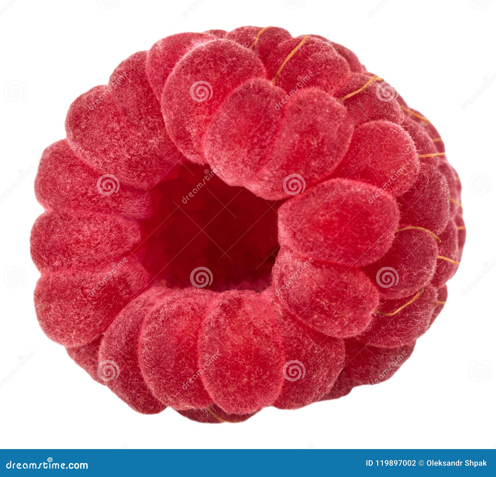 Isolated Berry. One Fresh Raspberry Fruit Isolated on White Back Stock ...