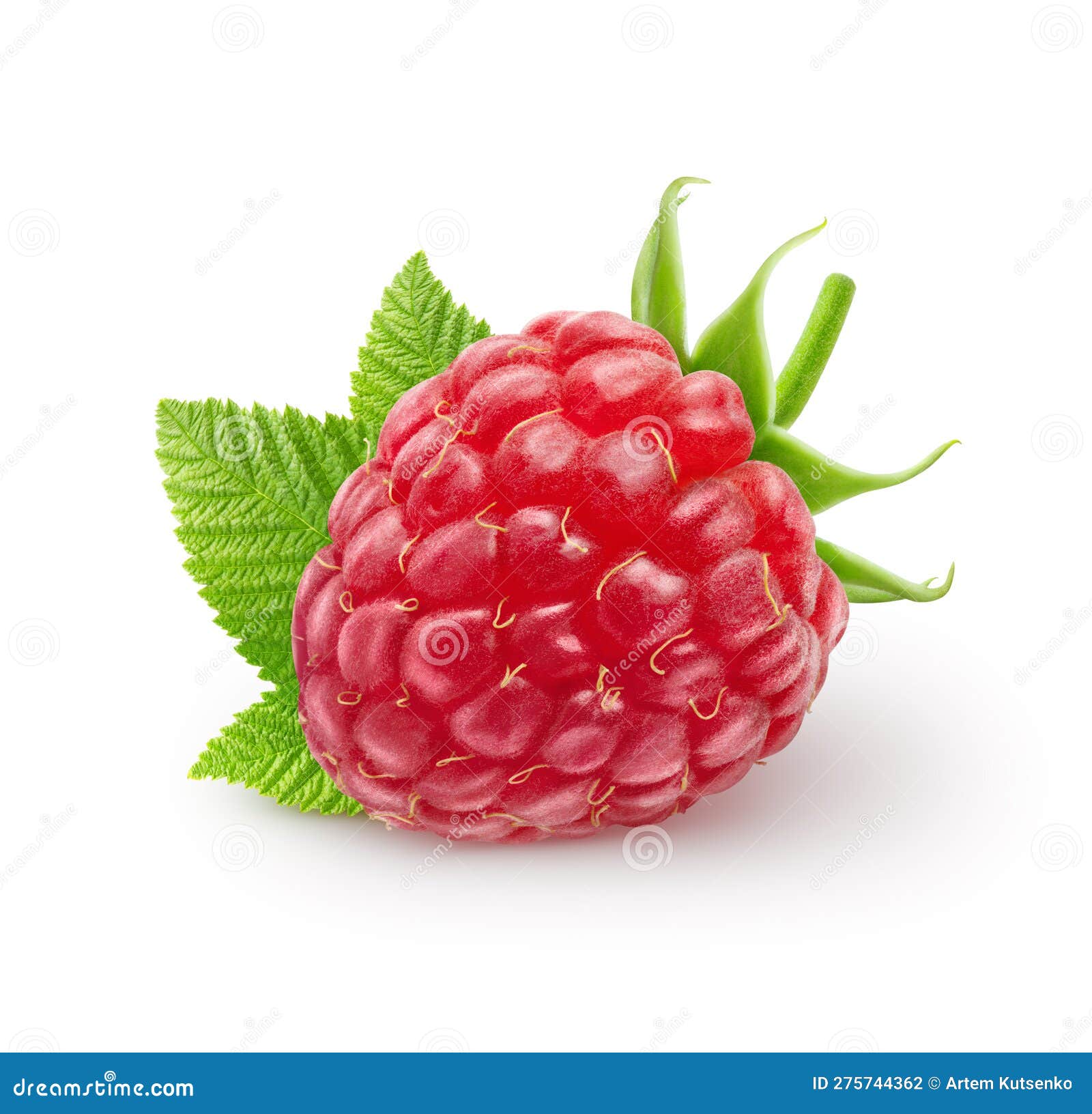 Isolated Berry. Single Raspberry Fruit with Leaves Isolated on White ...