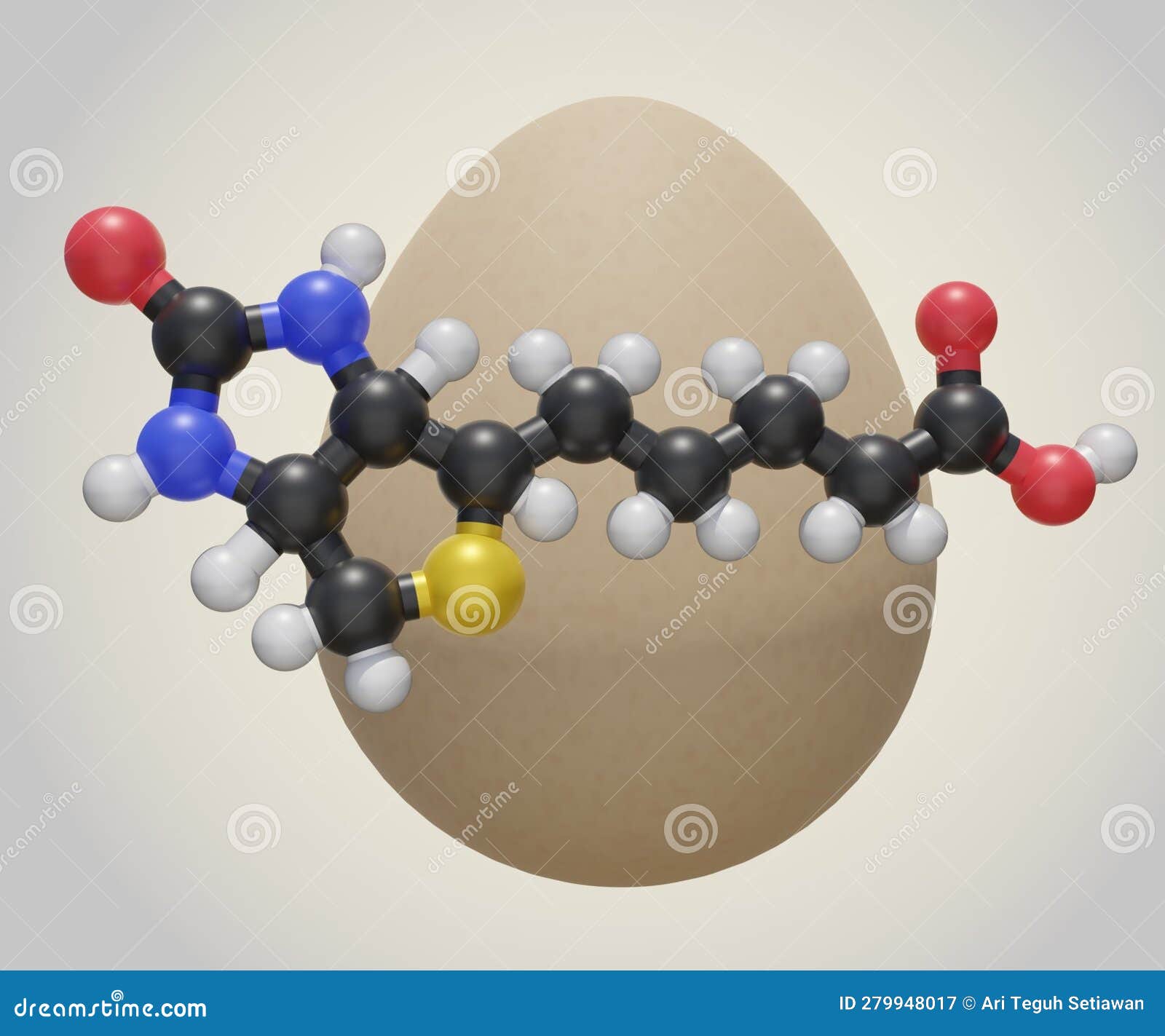 Biotin Molecule, Vitamin B7 Molecular Structure, Isolated 3d Model Van ...