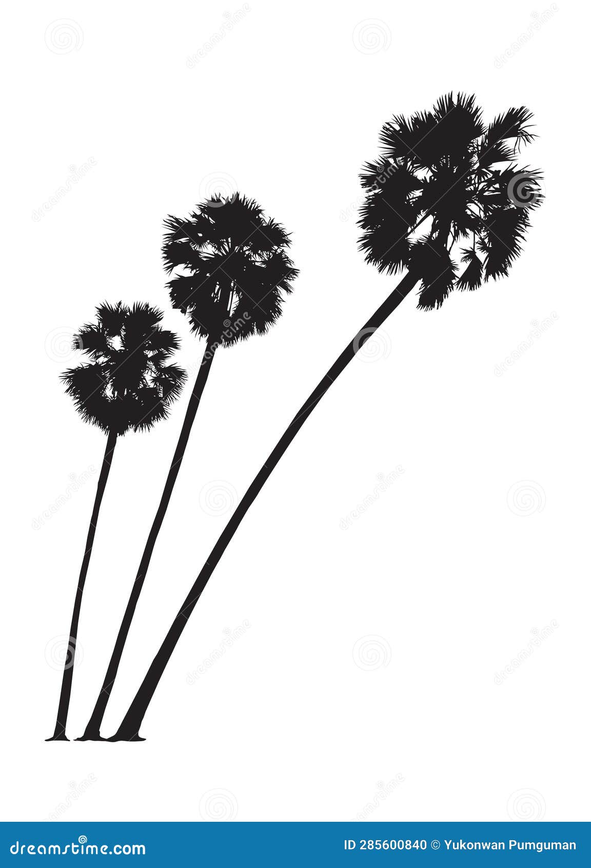 Three Palm Trees. Vector Illustration | CartoonDealer.com #19804600