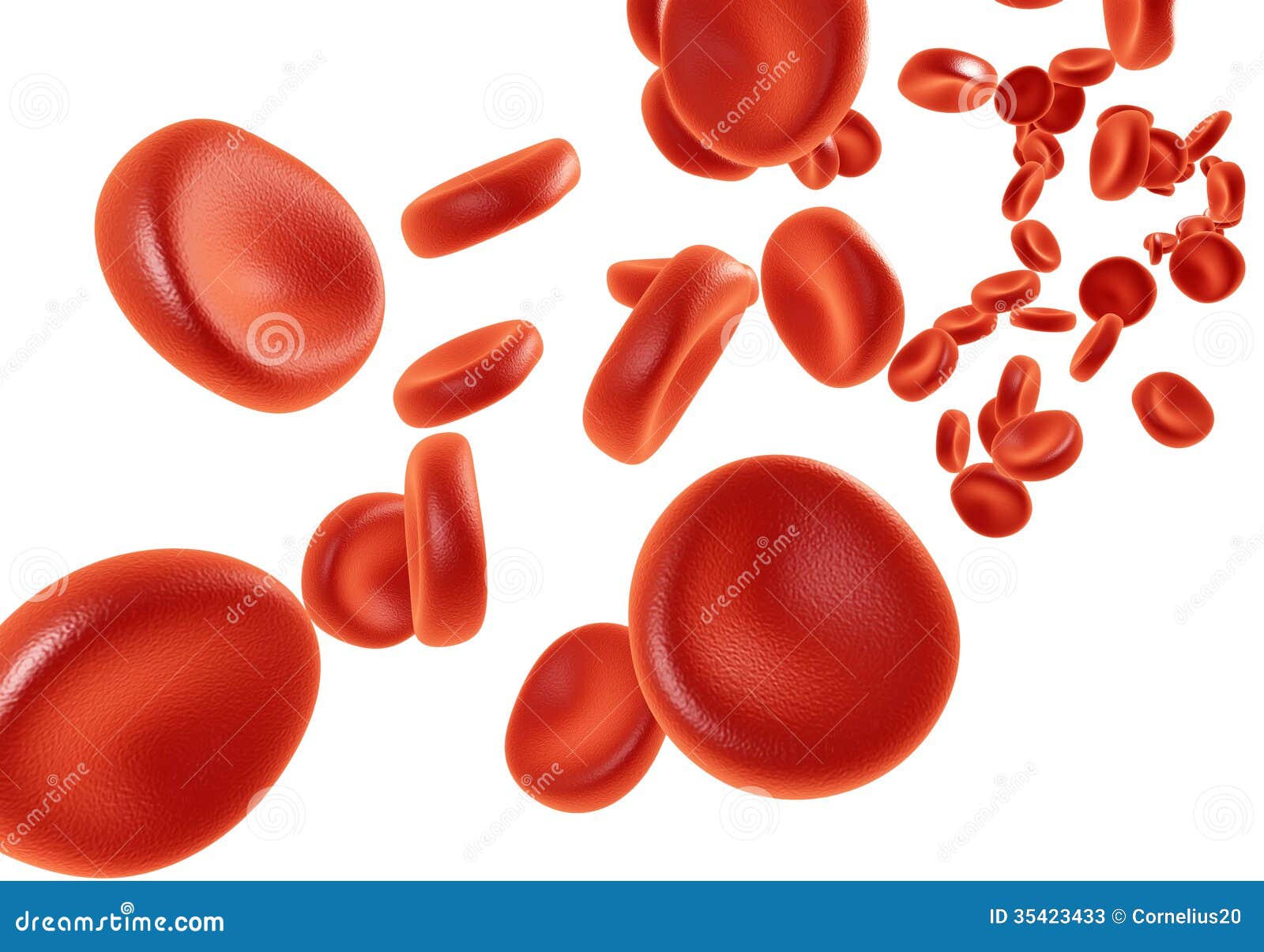 Isolated blood cells stock illustration. Illustration of health - 35423433