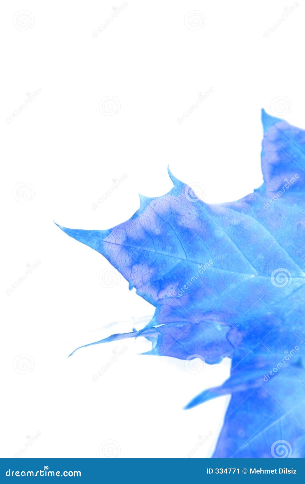 Isolated Blue Leaf stock illustration. Illustration of colorful - 334771