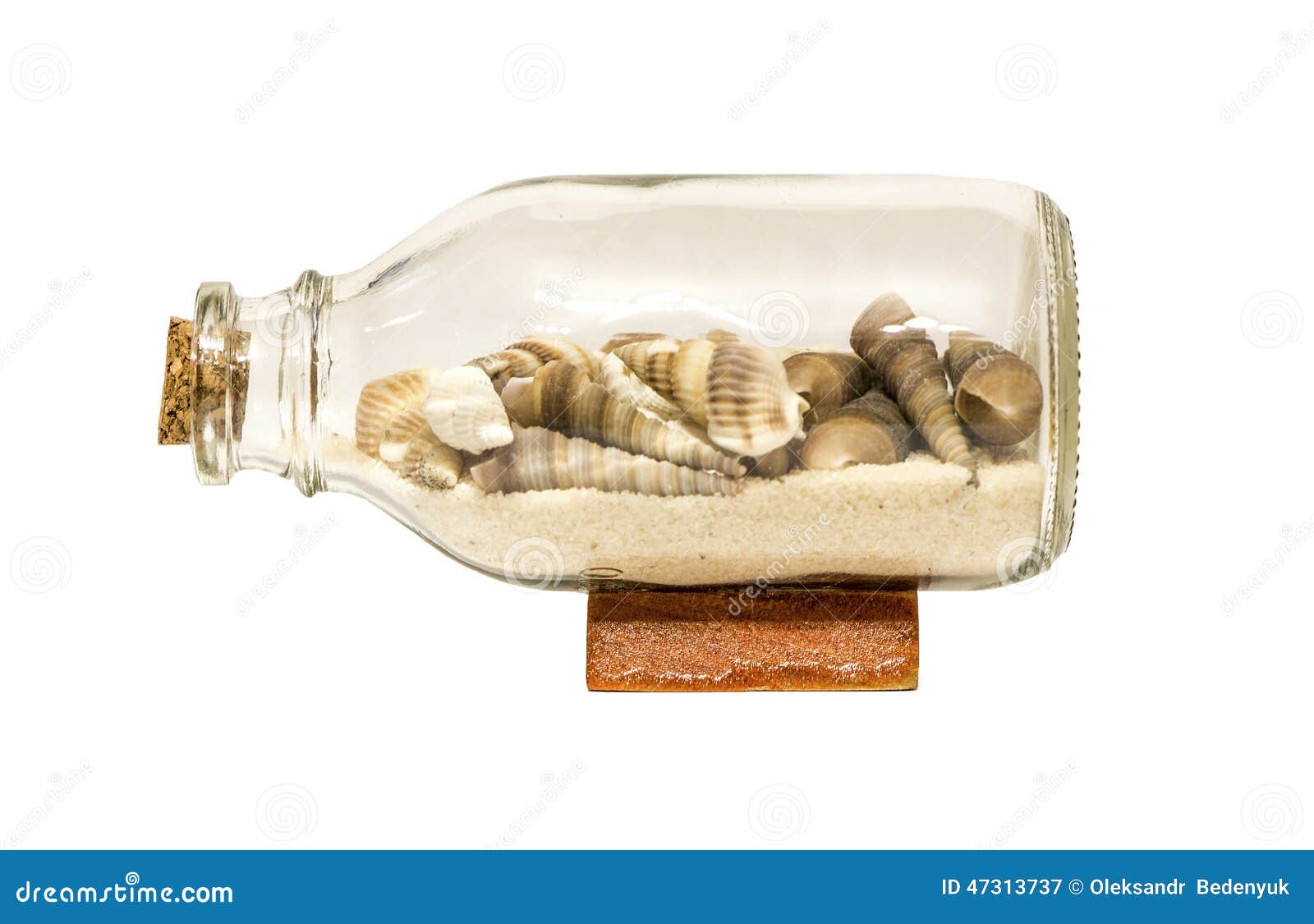 Isolated Bottle with Shells Stock Image - Image of marine, biology ...