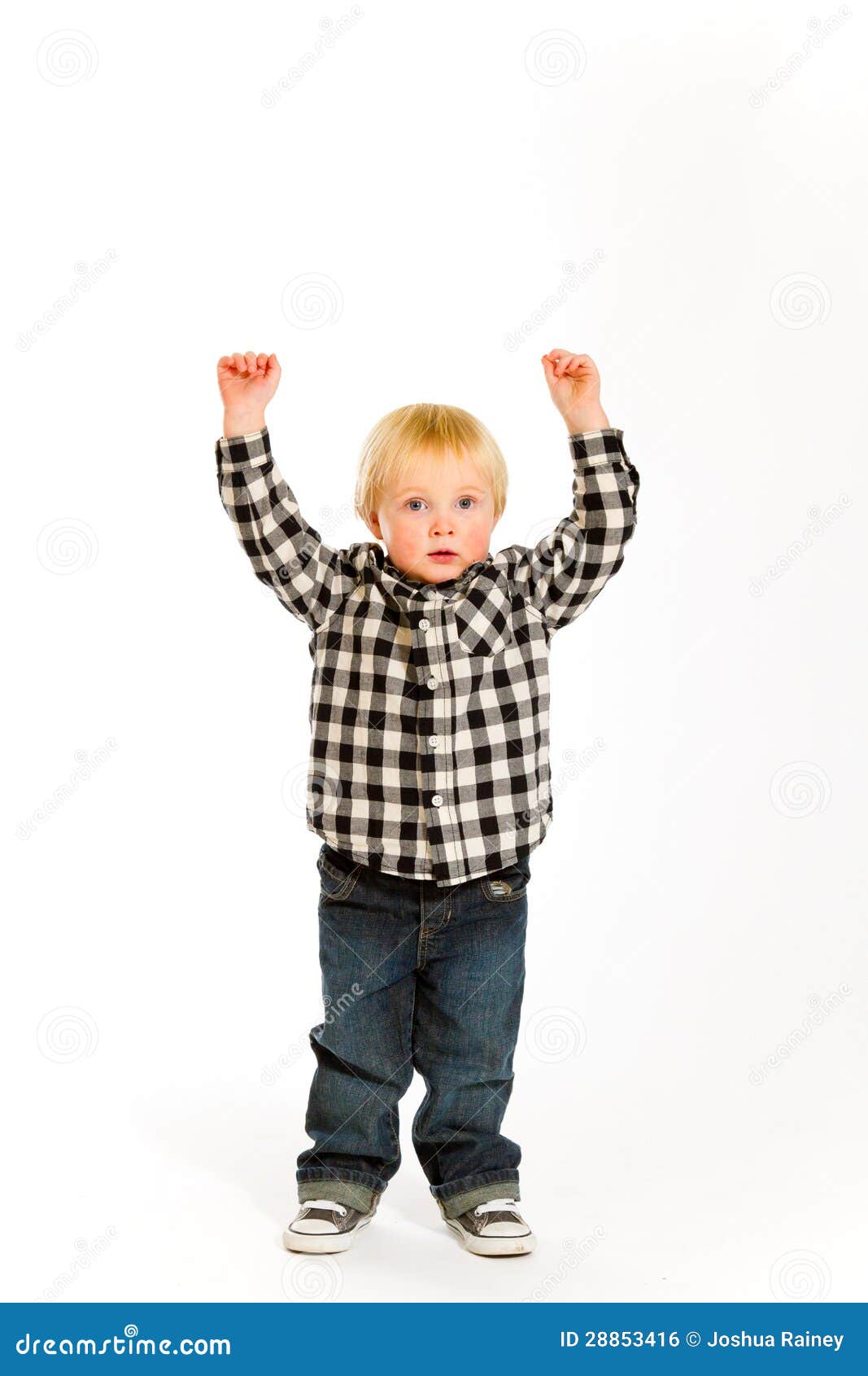 Isolated Boy Portraits stock photo. Image of caucasian - 28853416