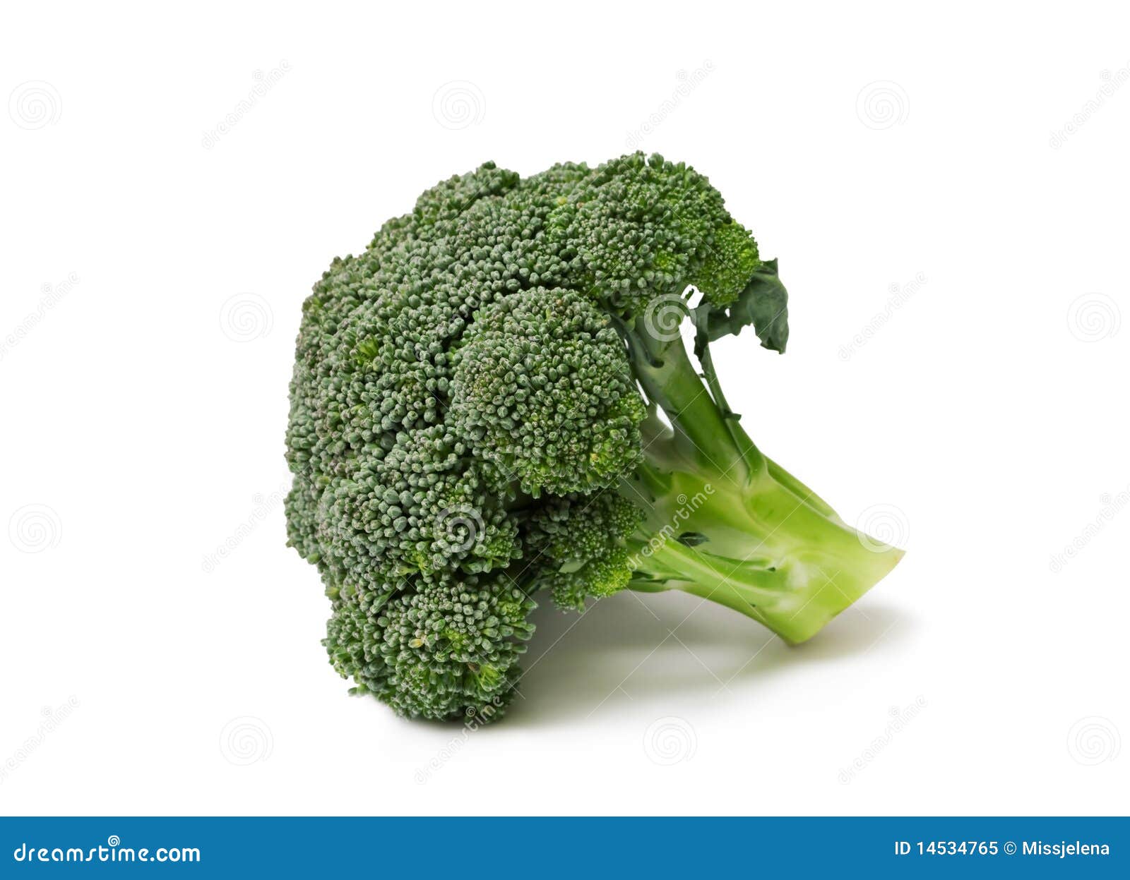 Isolated broccoli stock image. Image of group, closeup - 14534765
