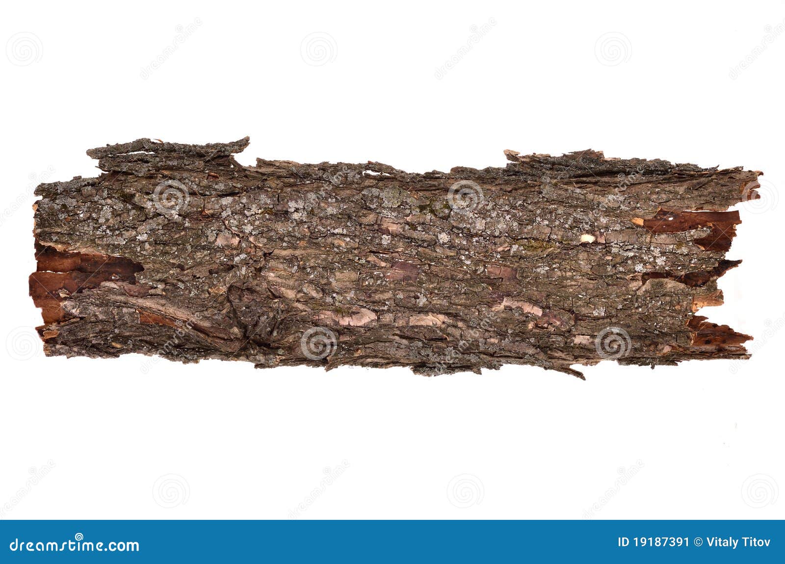 Isolated Stub Log With Wooden Texture Stock Photography | CartoonDealer ...