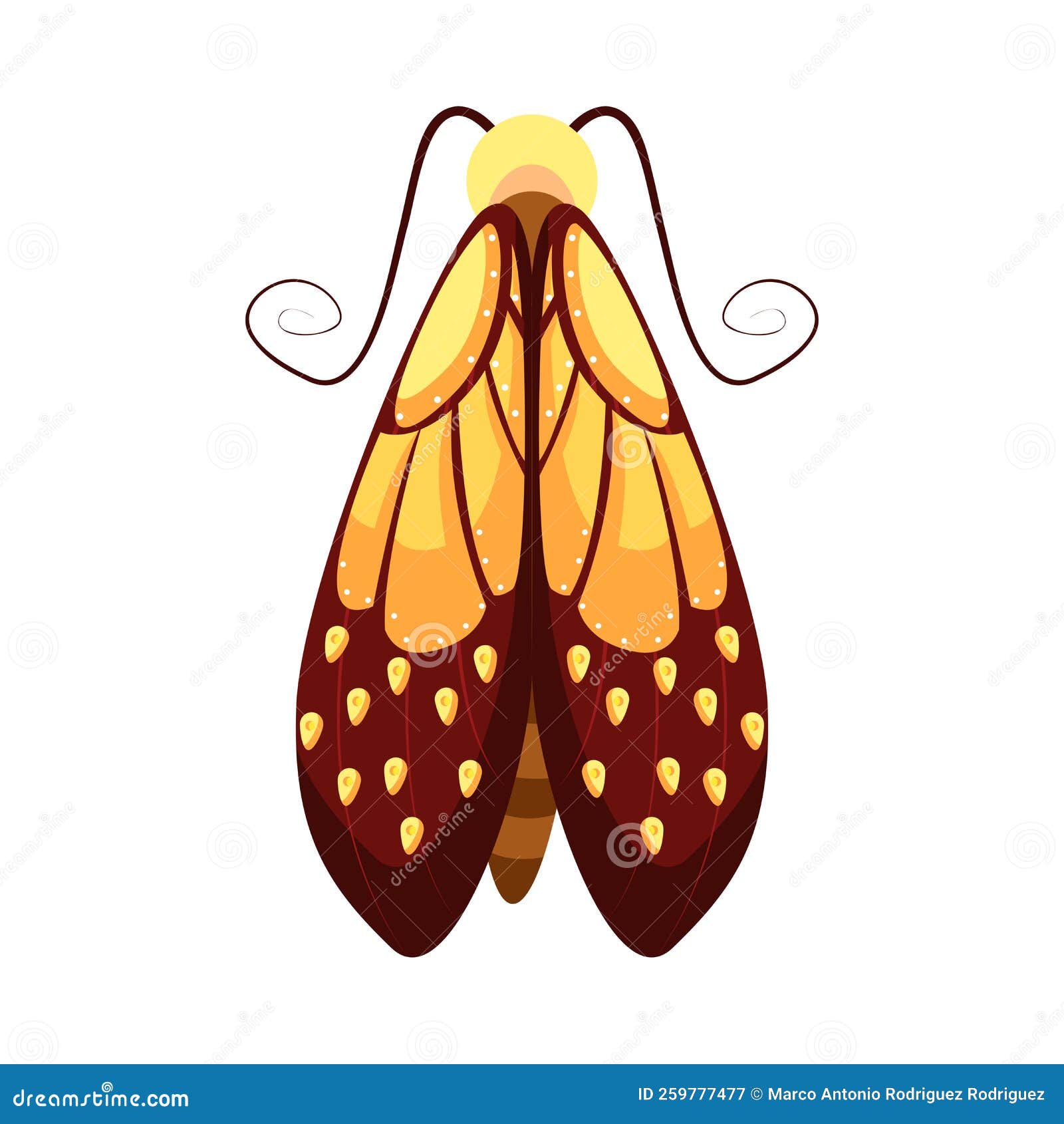 Isolated Brown Moth Vector Illustration Stock Vector - Illustration of ...
