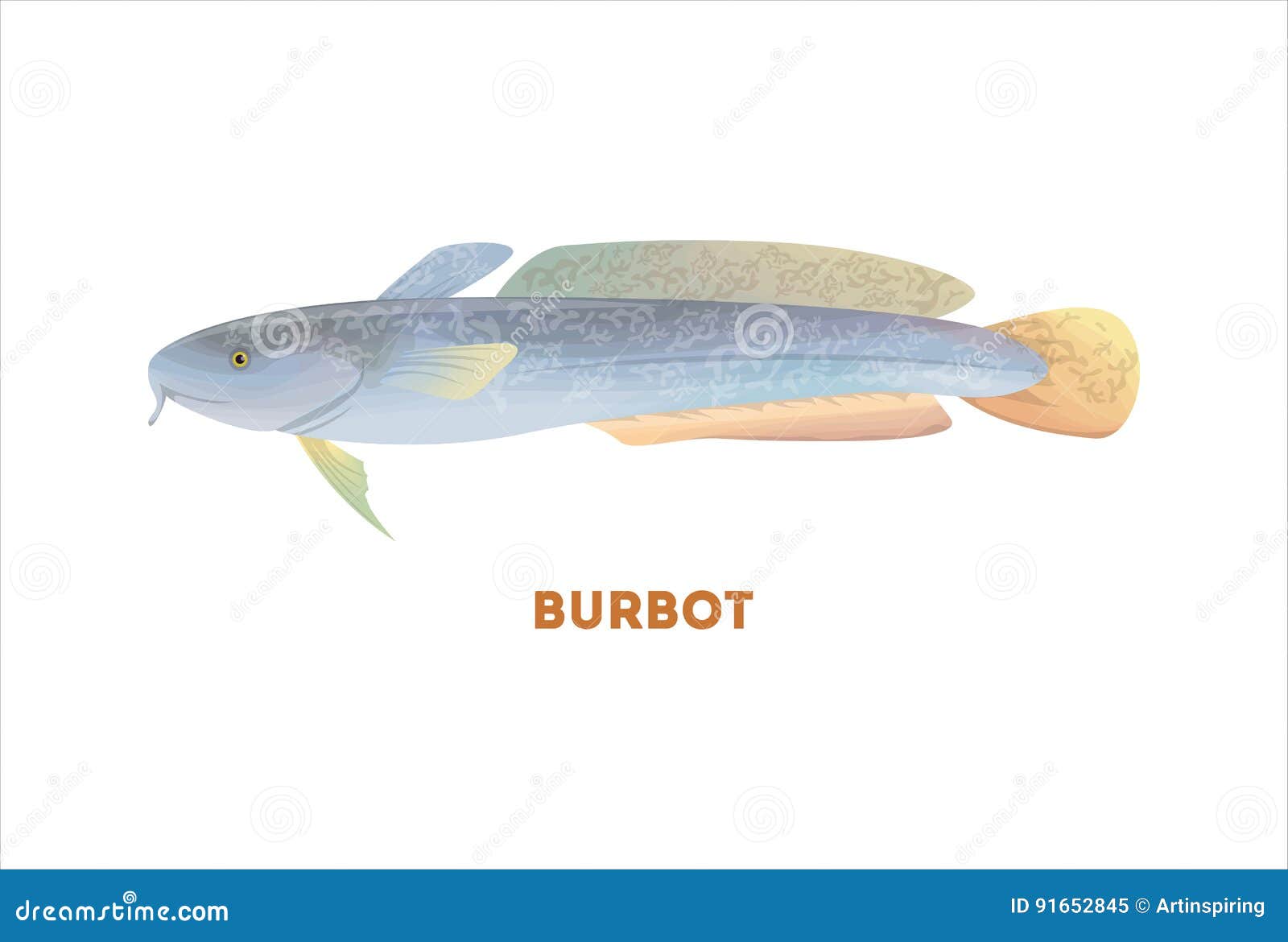 Isolated burbot fish. stock vector. Illustration of element - 91652845