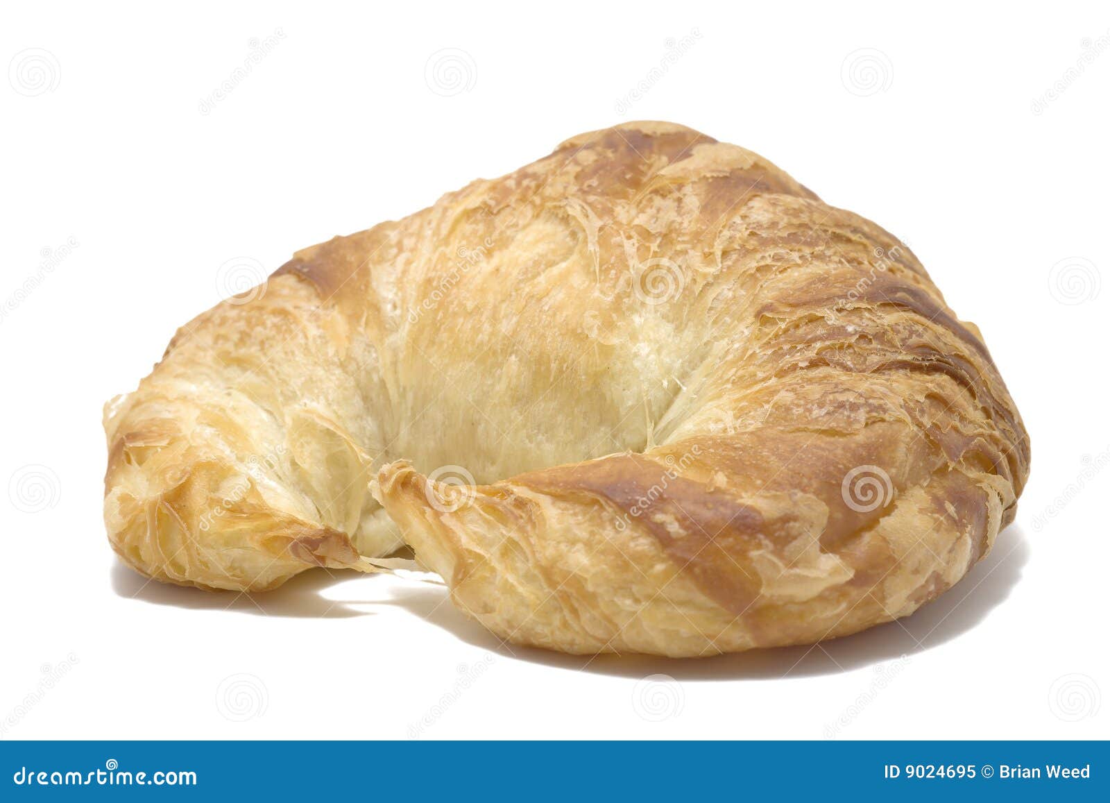 Isolated Butter Croissant stock image. Image of white - 9024695