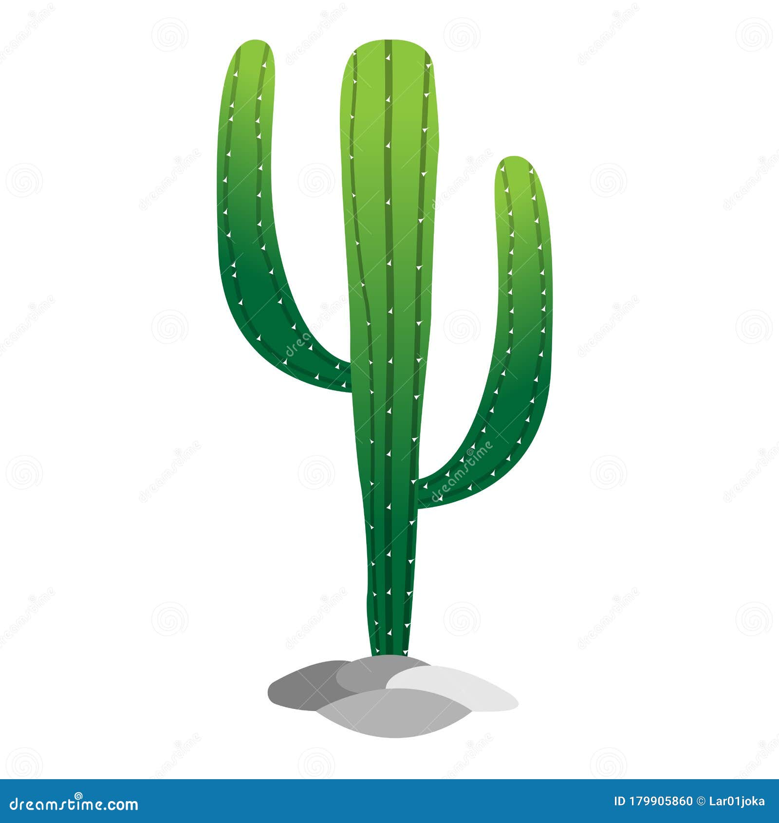 Isolated cactus icon stock vector. Illustration of garden - 179905860