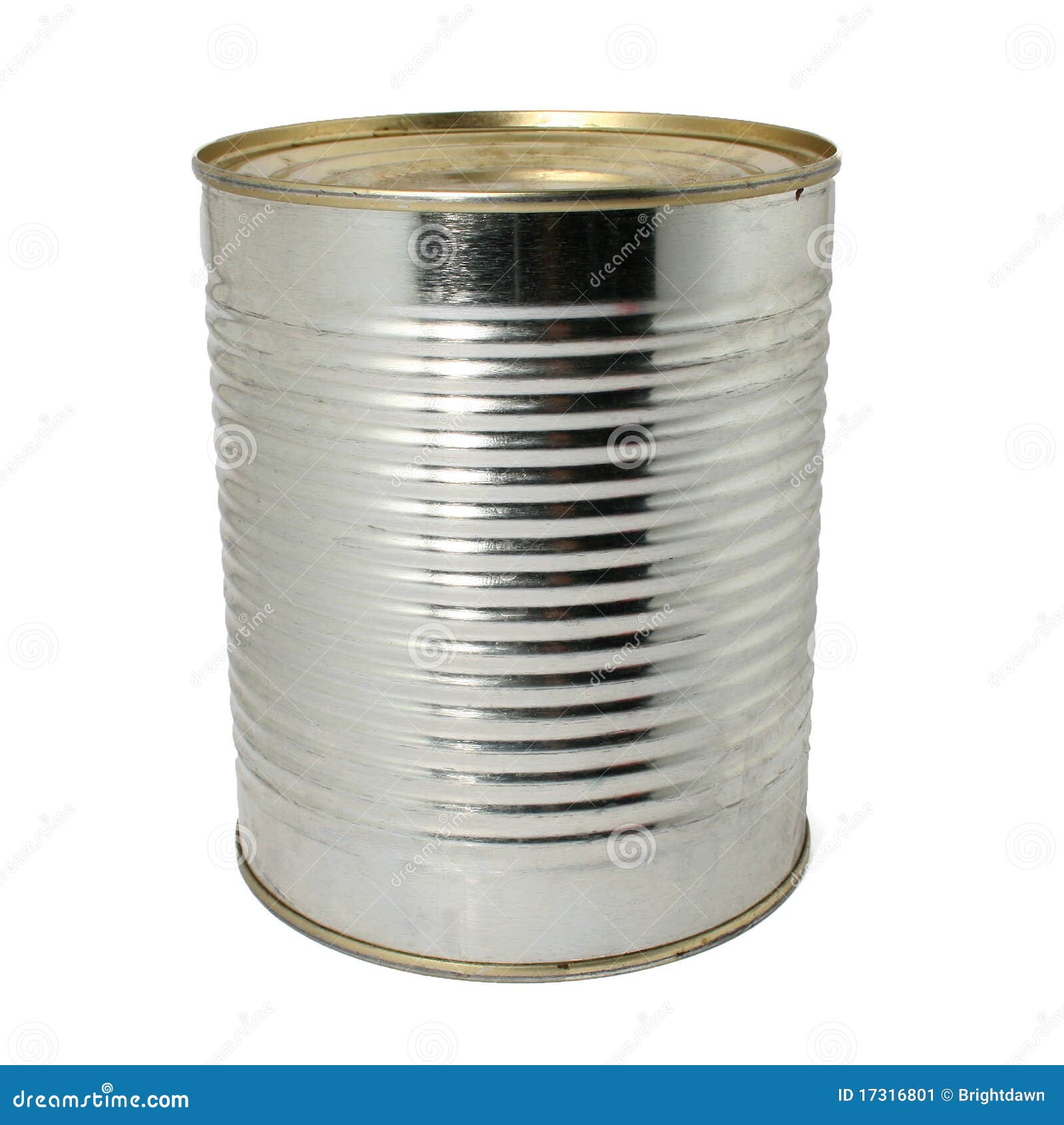 Isolated can stock image. Image of steel, preserve, conserve - 17316801