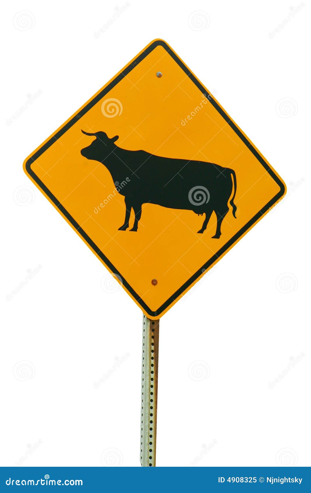 Isolated Cattle Crossing Sign Picture. Image: 4908325